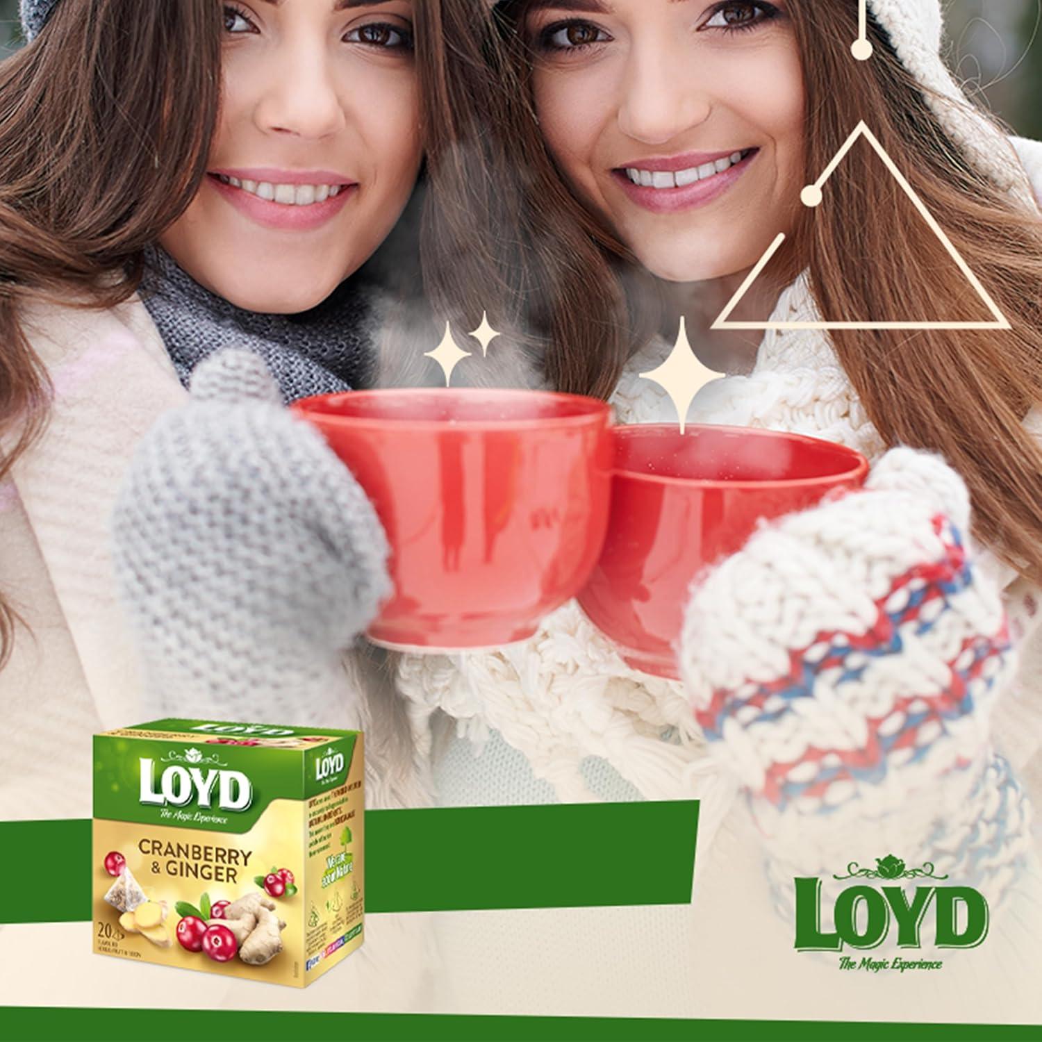 LOYD Tea - Cranberry with Ginger (3 Pack )