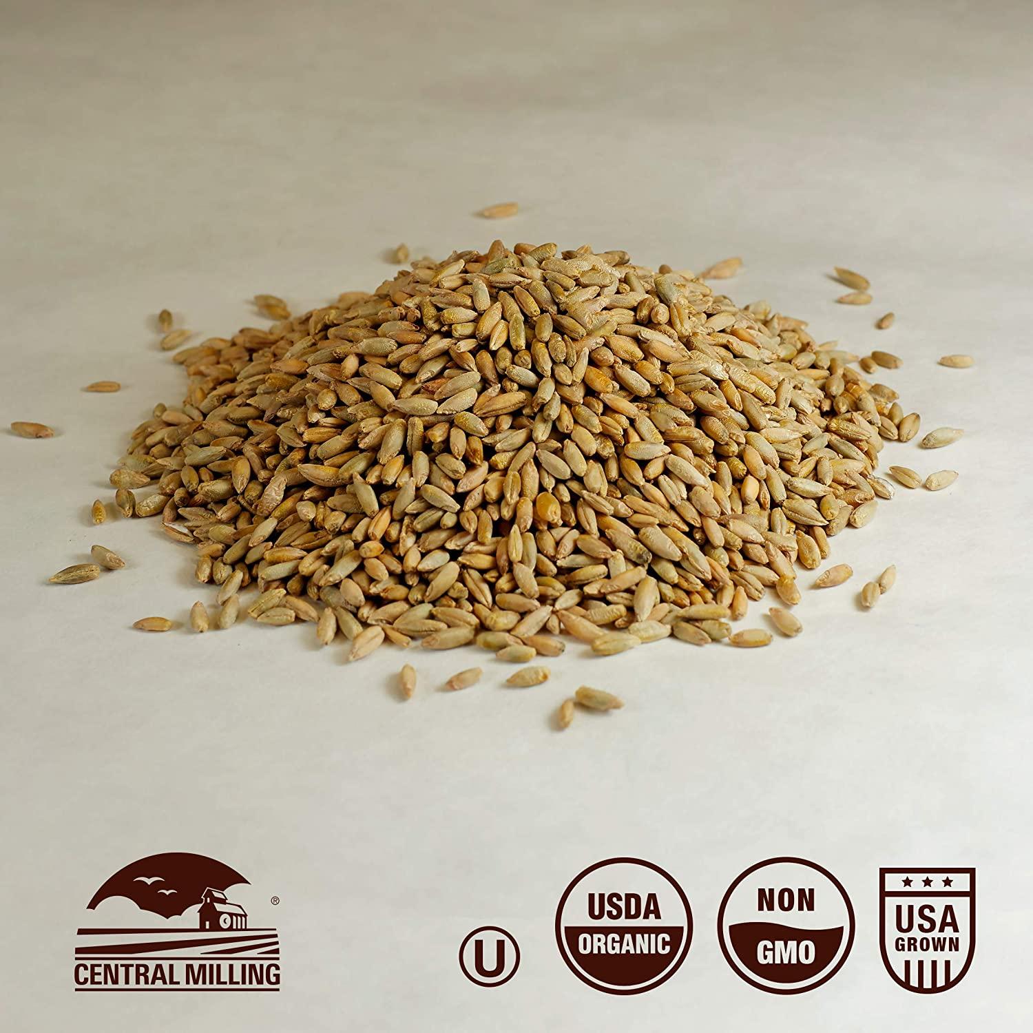 Organic Rye Berries - 100% Natural - 25 lbs - Pack of 1 | Buy Now with ...