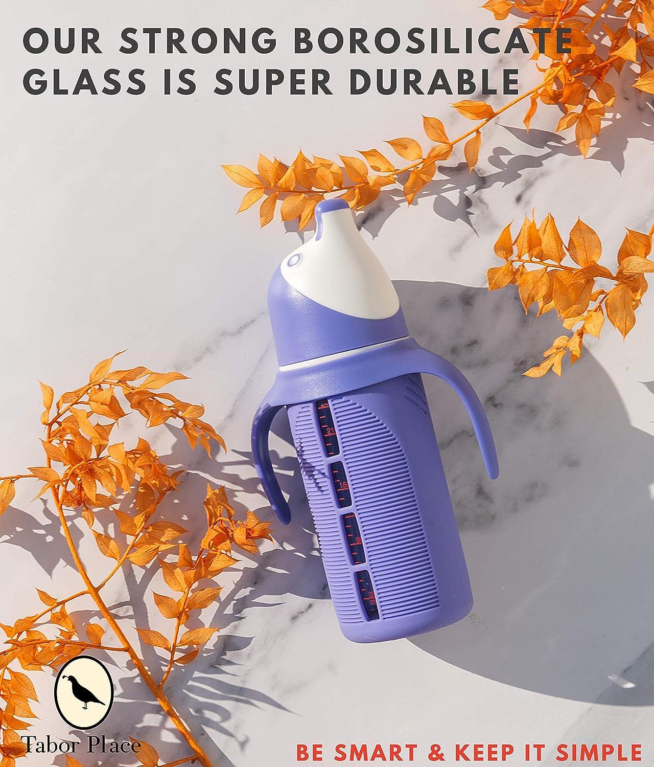 Tabor Place Glass Sippy Cup for Toddlers - The Luca | Spill-proof ...