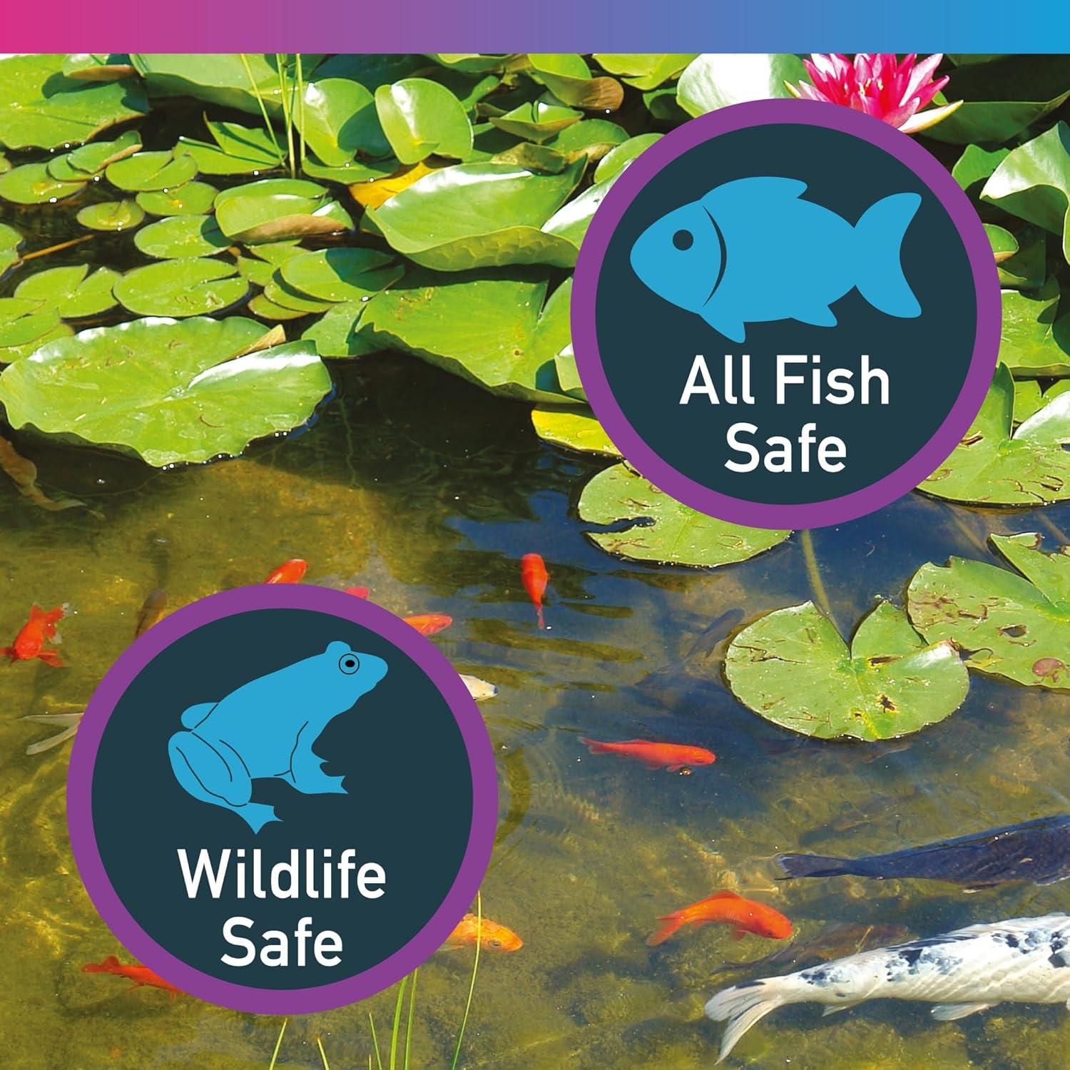 NT Labs Pond Bacterad Pond Fish Medicine Anti-Ulcer Fin-Rot & Flukes ...