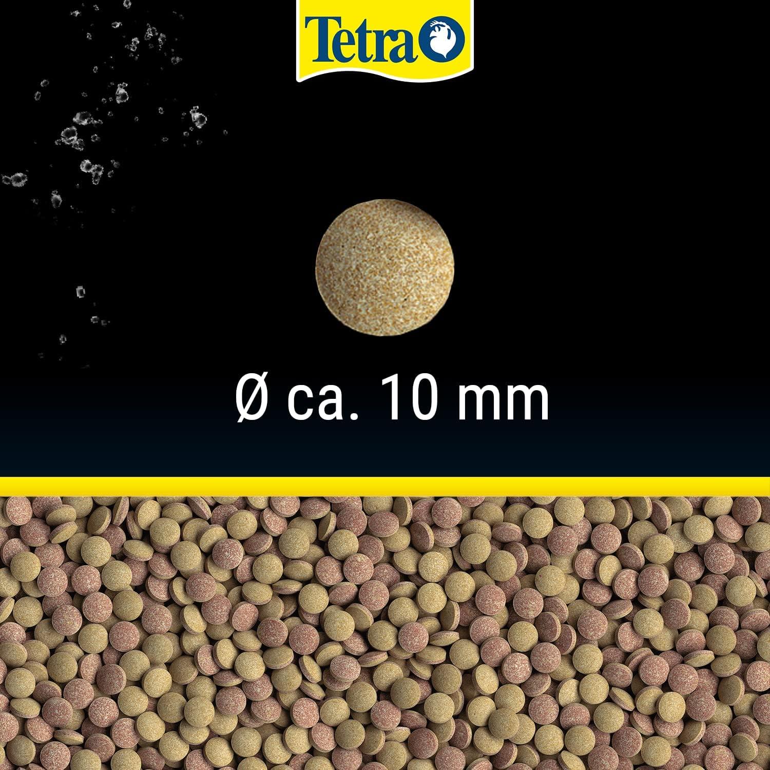 Tetra Tablets Tabimin - Premium Fish Feed for All Bottom Fish - 58 ...