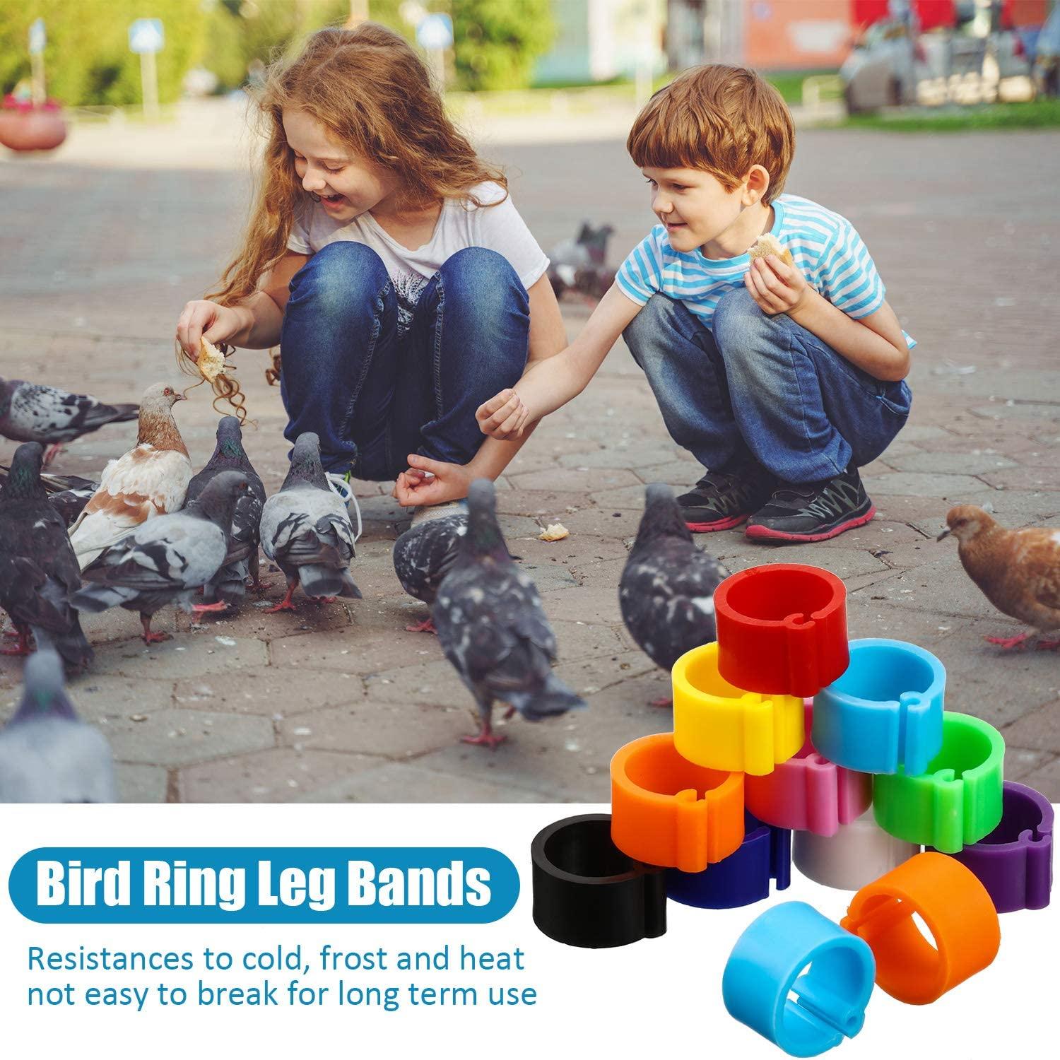 Weewooday 300 Pieces 8 mm Bird Ring Leg Bands Plastic Multi-Colour ...