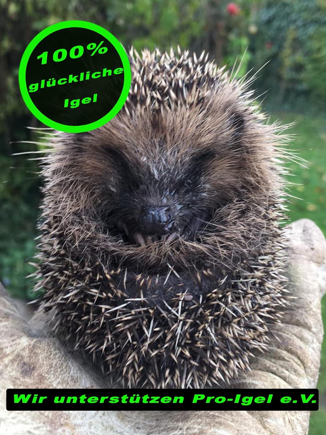 Shop 2x DBT Hedgehog Ball - Magnetic Stress Relief & Acupressure 47mm ...