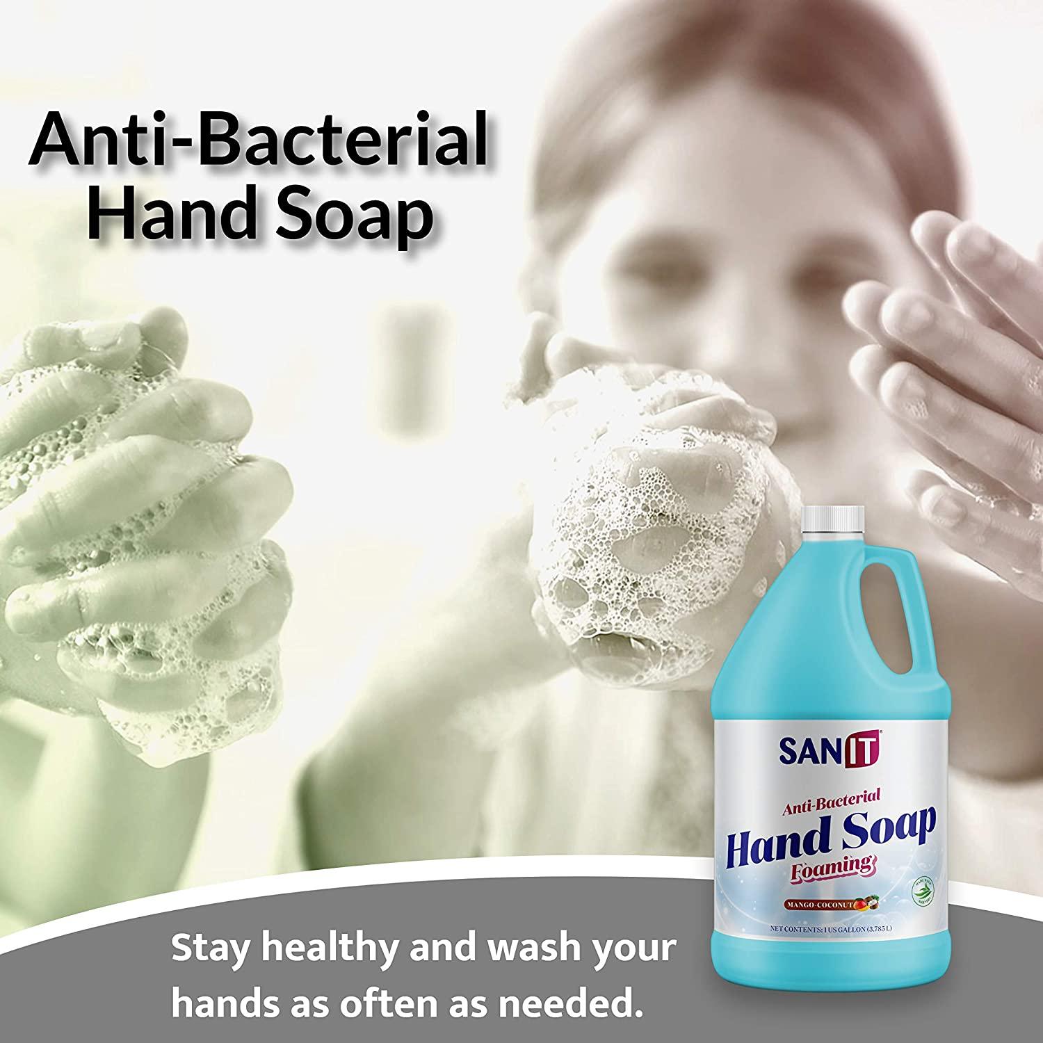 Sanitأ‚ Antibacterial Foaming Hand Soap Refill with Aloe Vera - All ...