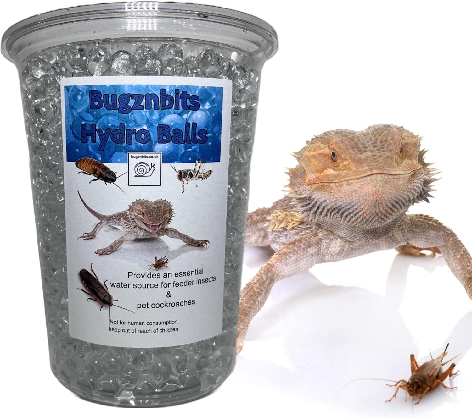 Bugznbits Hydro Balls Bug Gel Alternative for Crickets Cockroaches ...