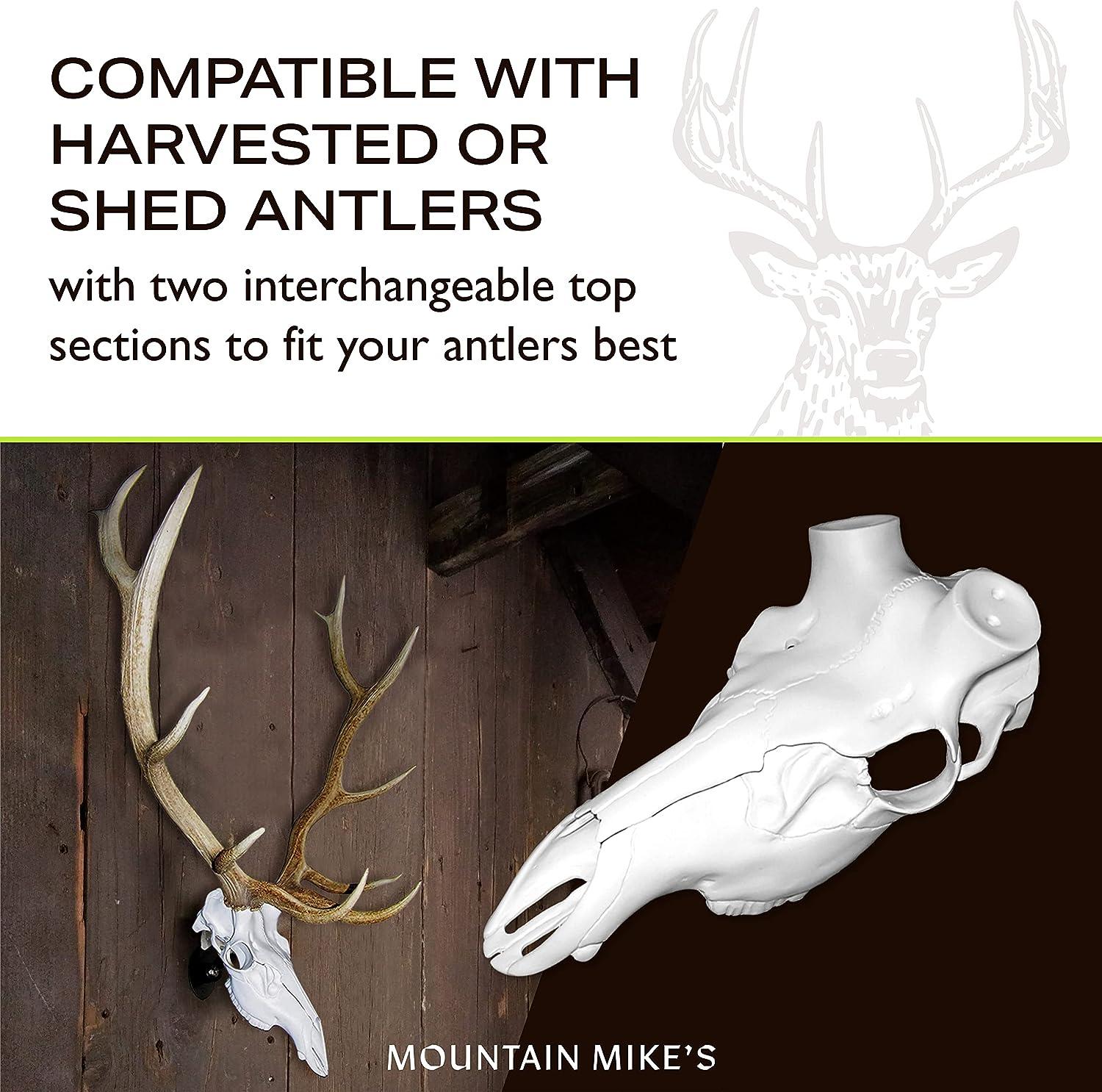 Mountain Mike's Reproductions Skull Master Universal White - Premium ...