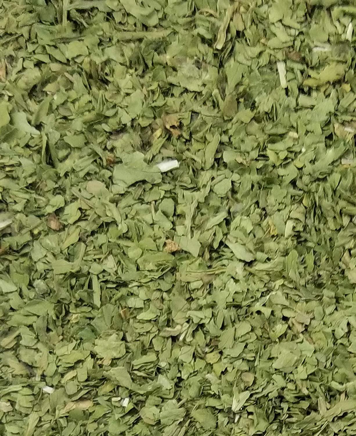 Cilantro Leaves 1 Pound - Fresh and Imported | Heat Sealed for Maximum ...