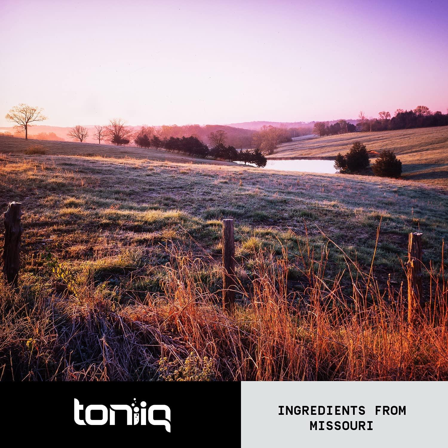 Toniiq Fuel 3000mg Nitric Oxide Booster - Pure L-Arginine & L ...