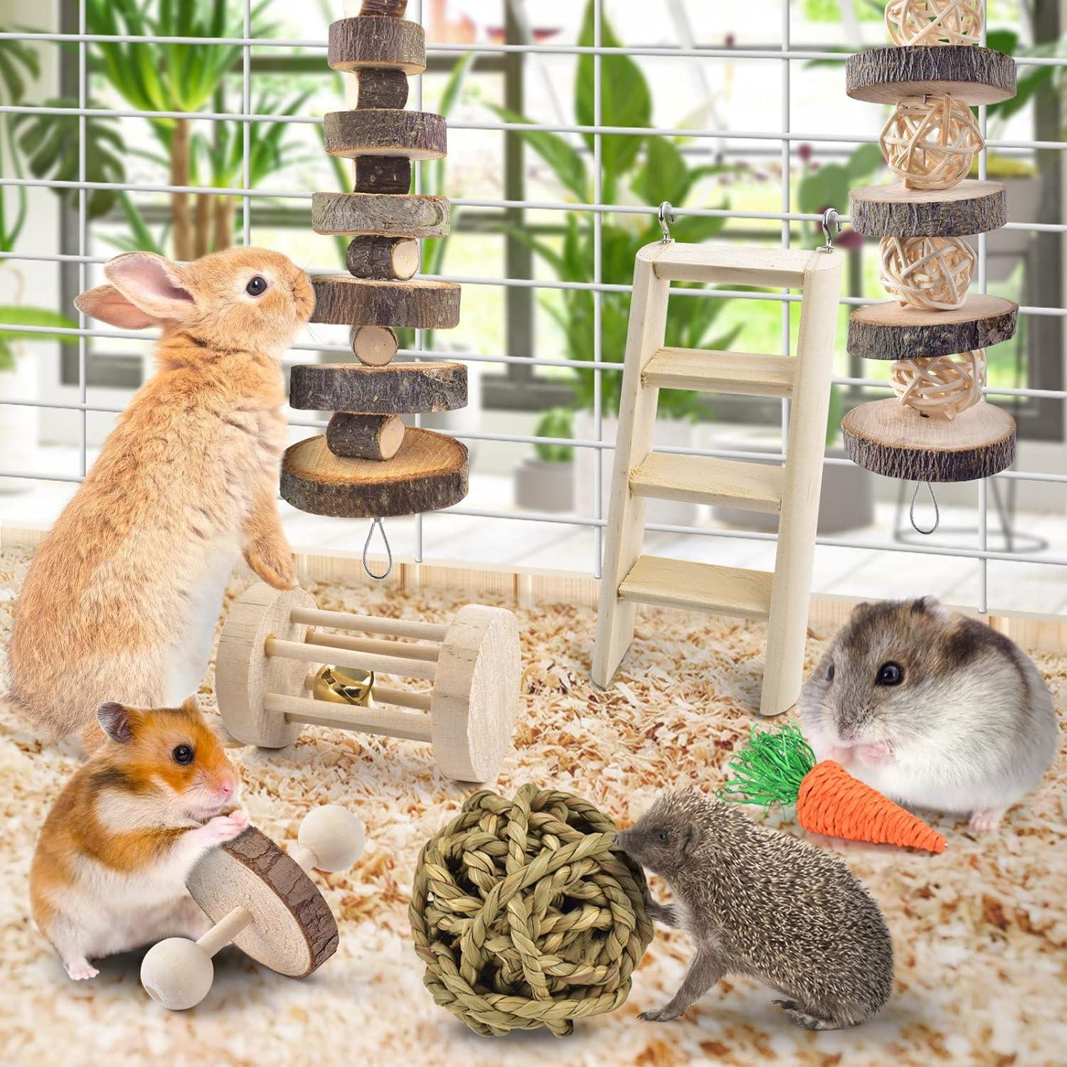 hamster teeth chattering