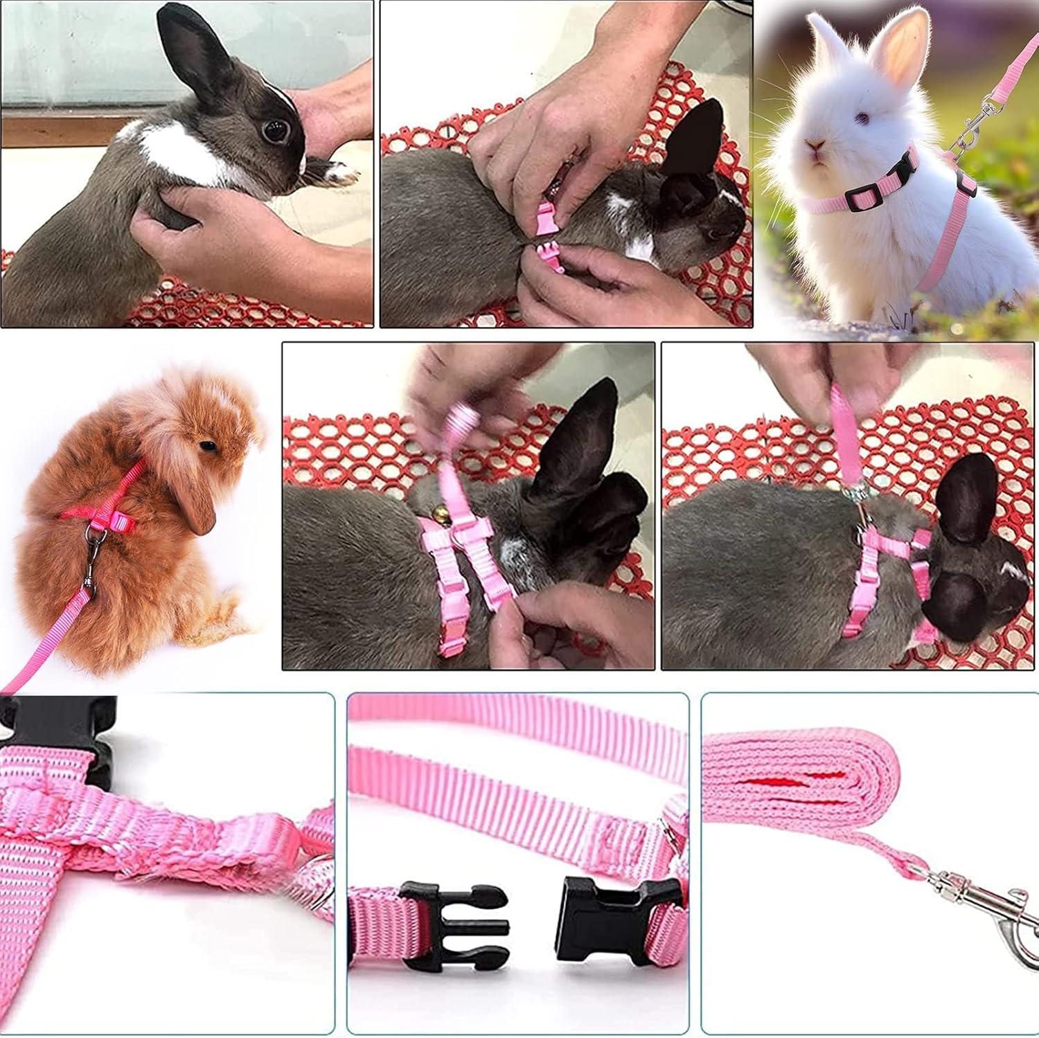 Adjustable Rabbit & Pet Harness Set - Blue & Pink Leash for Dogs ...