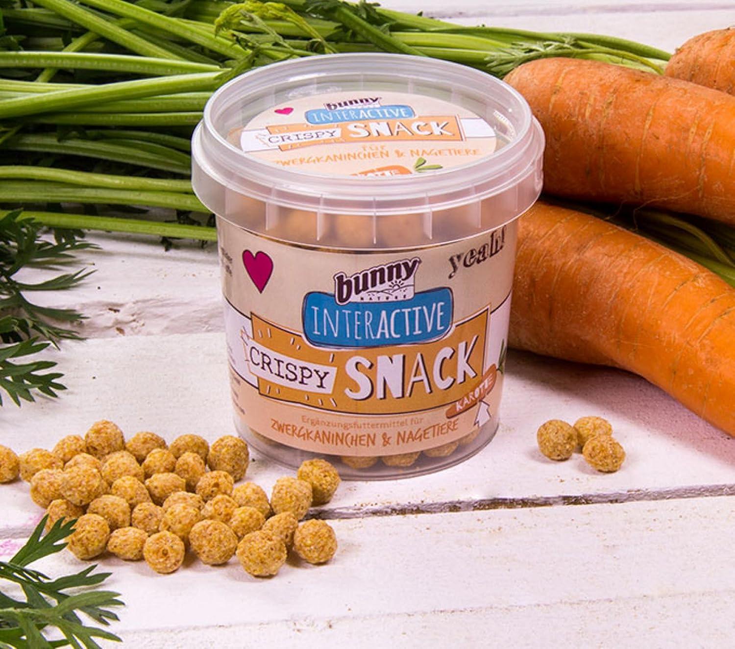 Bunny Crispy Snack Carrot | 25g | Ideal Supplement for Dwarf Rabbits ...