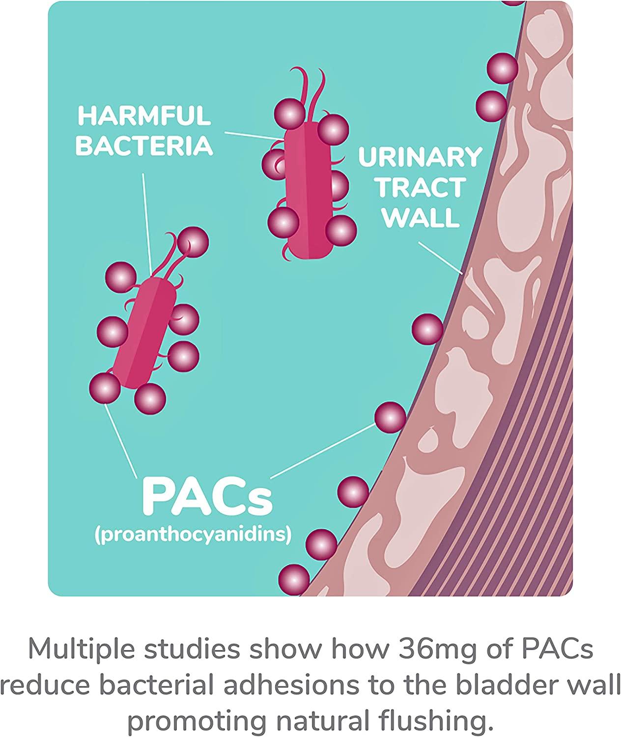Utiva Cranberry PACs - 30 Vegi Caps, 36mg Soluble PACs DMACA2 for ...