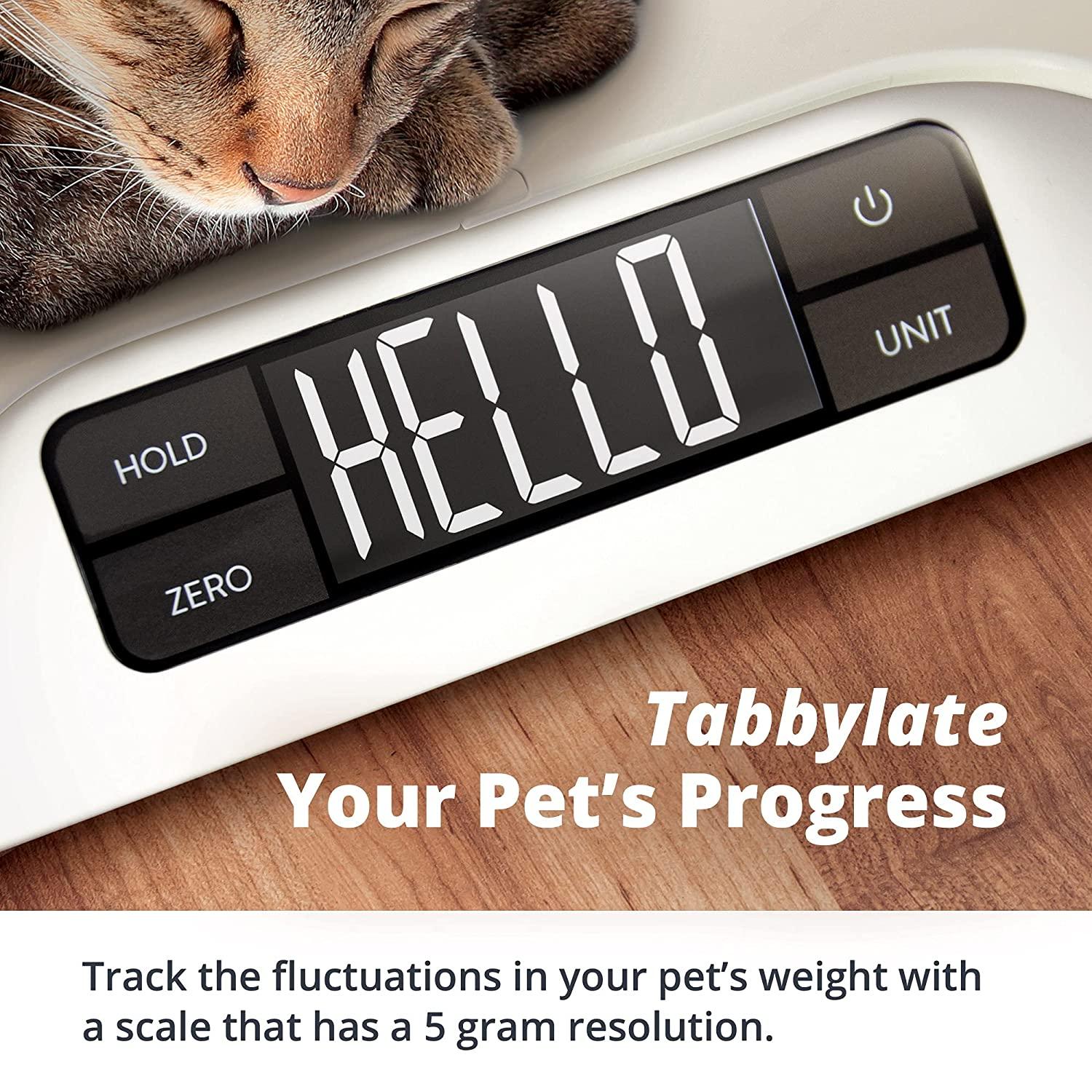 Greater Goods Digital Pet Scale - Accurate Weighing for Kittens ...