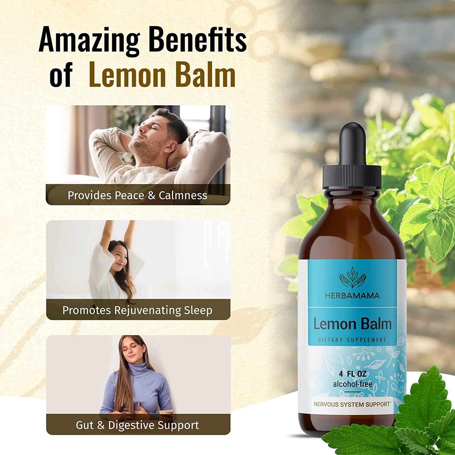HERBAMAMA Lemon Balm Liquid Extract - 4 fl. Oz Bottle - Organic Melissa ...