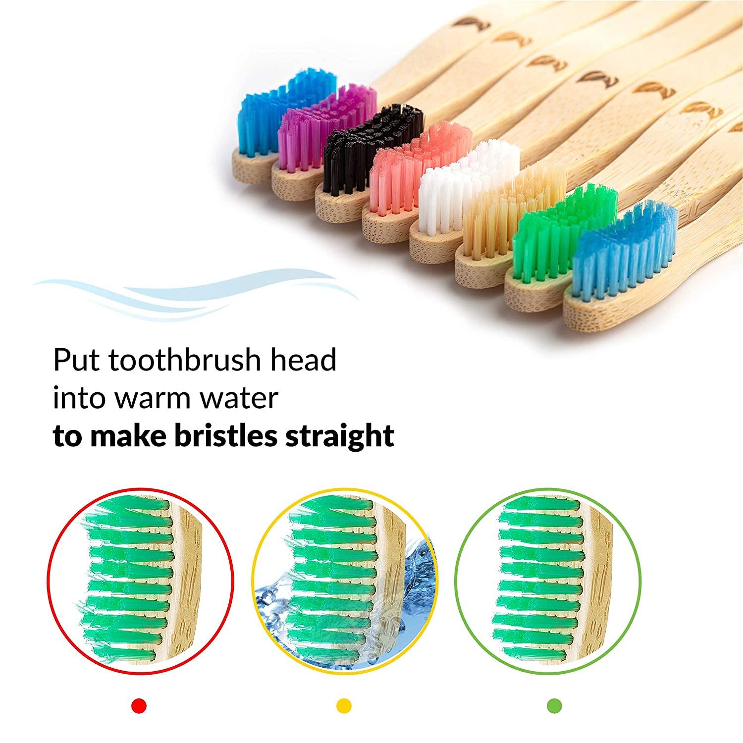 Bamboo Charcoal Biodegradable Toothbrush Eco-Friendly, Natural, Vegan ...