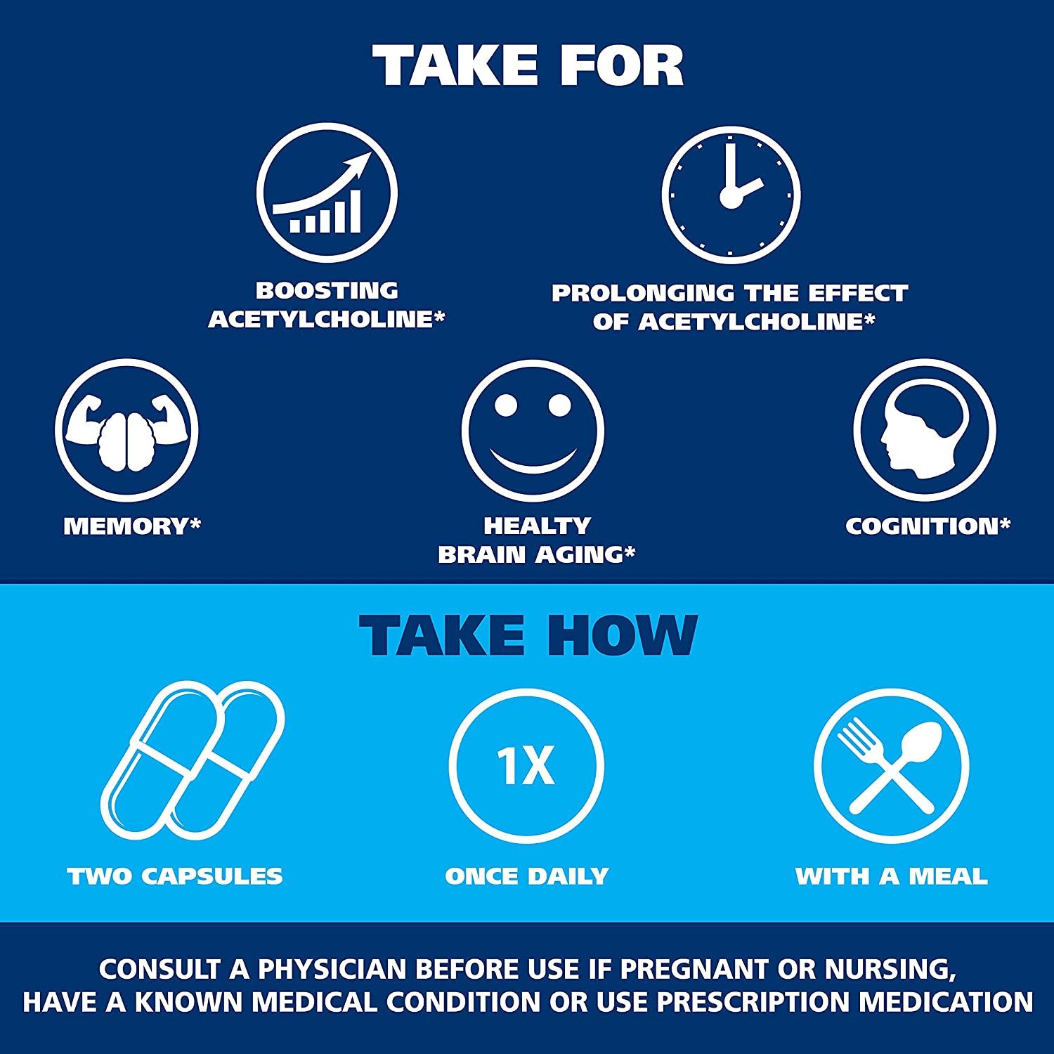 Acetylcholine Alpha GPC Choline 600mg + Bacopa: Superior Memory ...