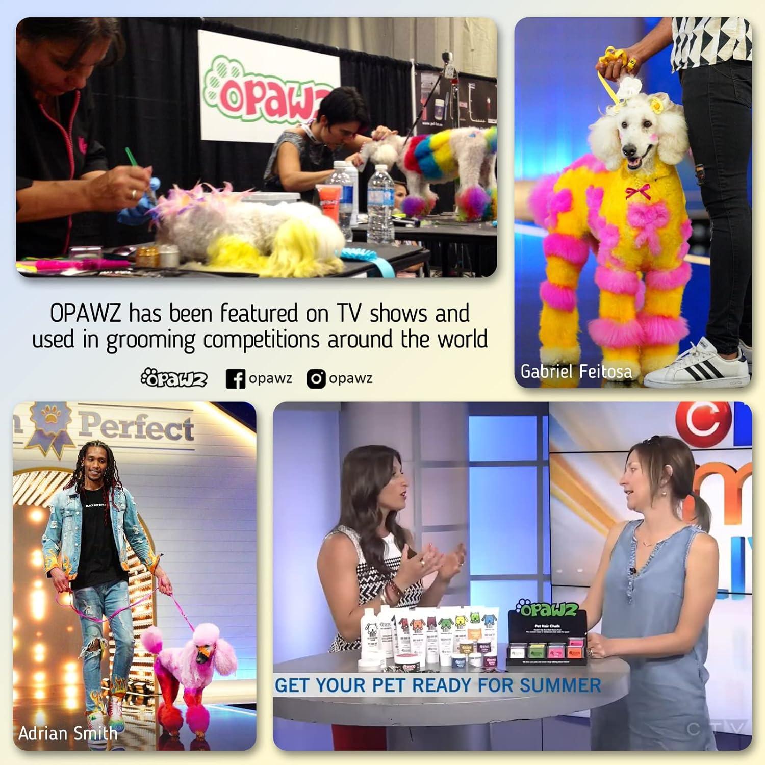 Opawz Permanent Pet Hair Color - Safe & Long-Lasting Dye for Dogs ...