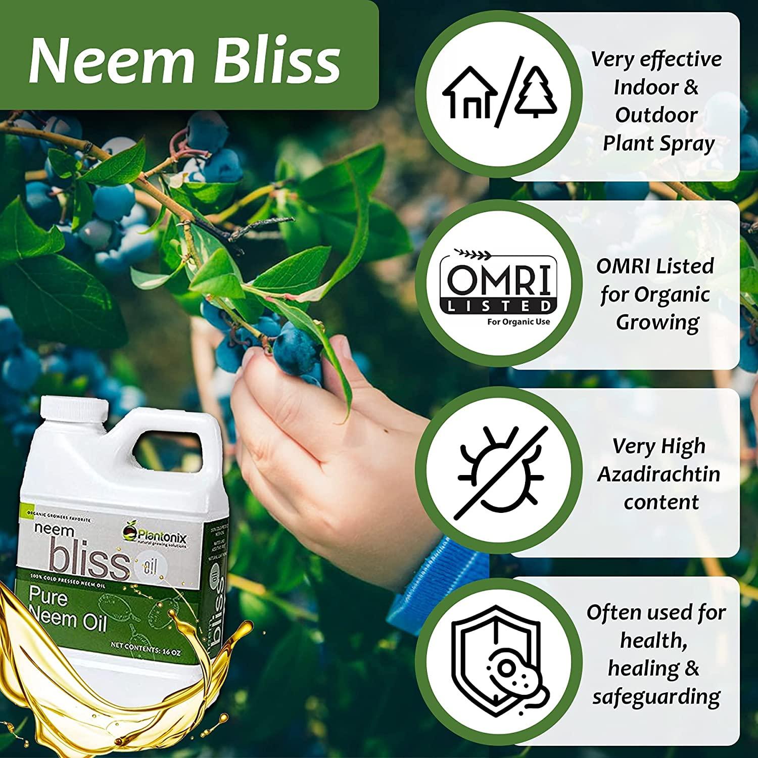 Organic Neem Bliss 100% Pure Cold Pressed Neem Seed Oil 32 oz - OMRI ...