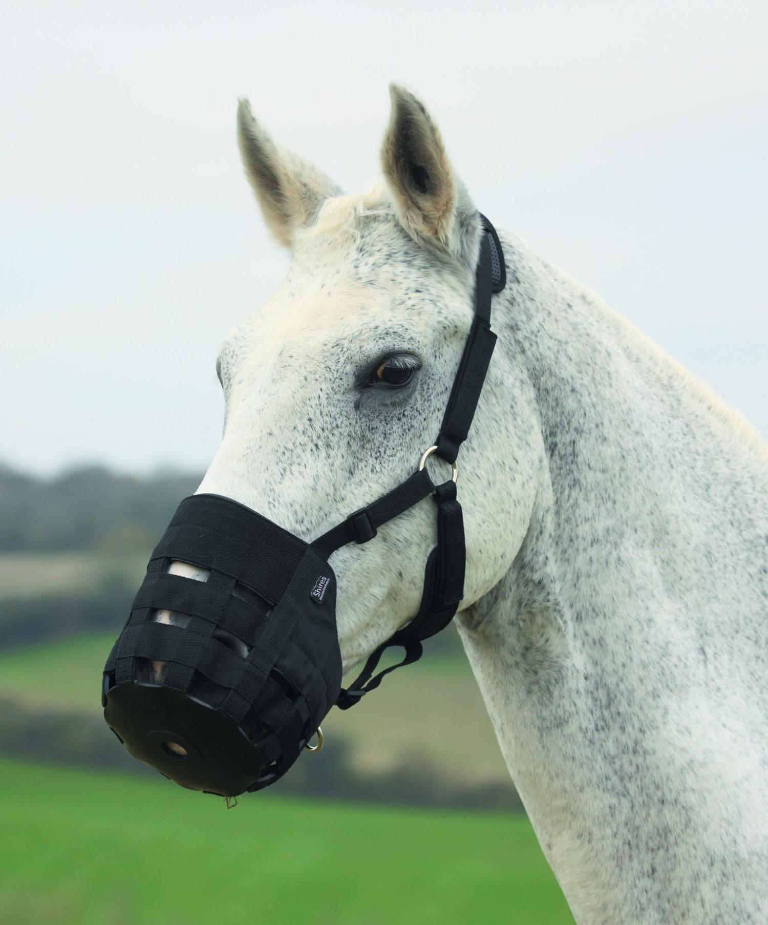 Shires Comfort Grazing Muzzle Black Small Pony | Buy Now with Express ...