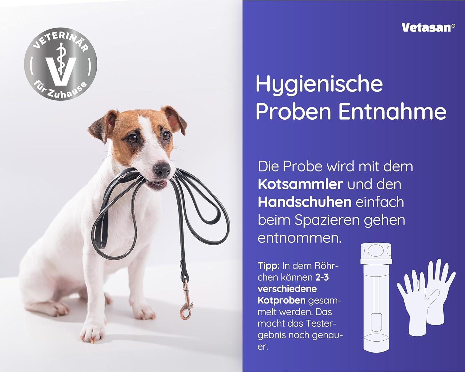 Vetasan 1x Giardia Quick Test for Dogs & Cats | Professional Giardia ...