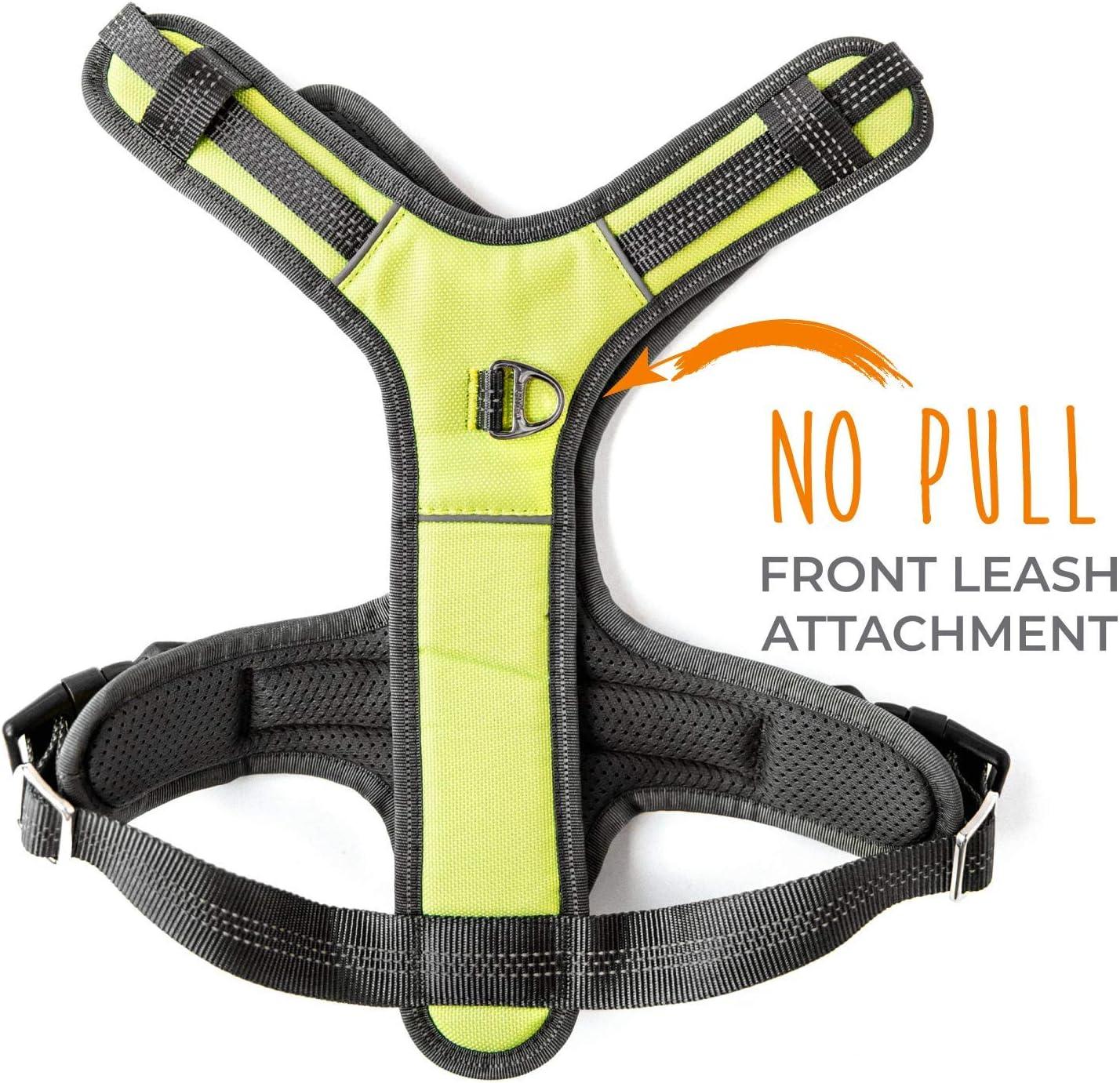 Mighty Paw Sport Harness 2.0 - Padded Adjustable Dog Harness for Large ...