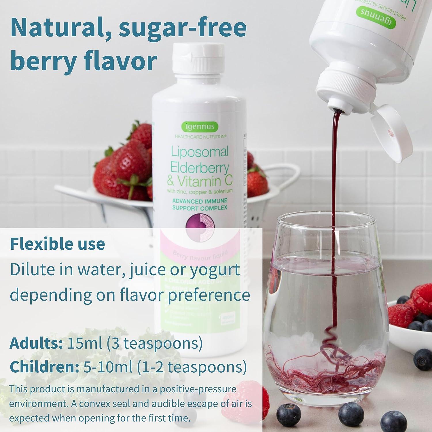 Immune Support Syrup: Elderberry 1000mg, Liposomal Vitamin C, Zinc ...