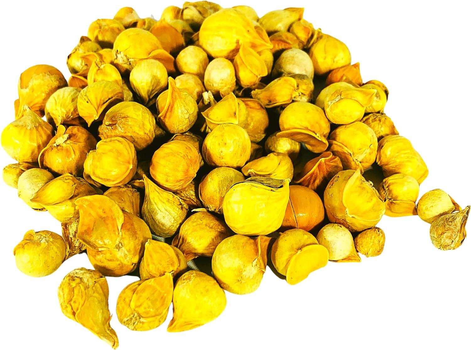 Japanese Garlic (Ajo Japones) 1 Lb - Premium Quality, 1 Pound Pack for ...