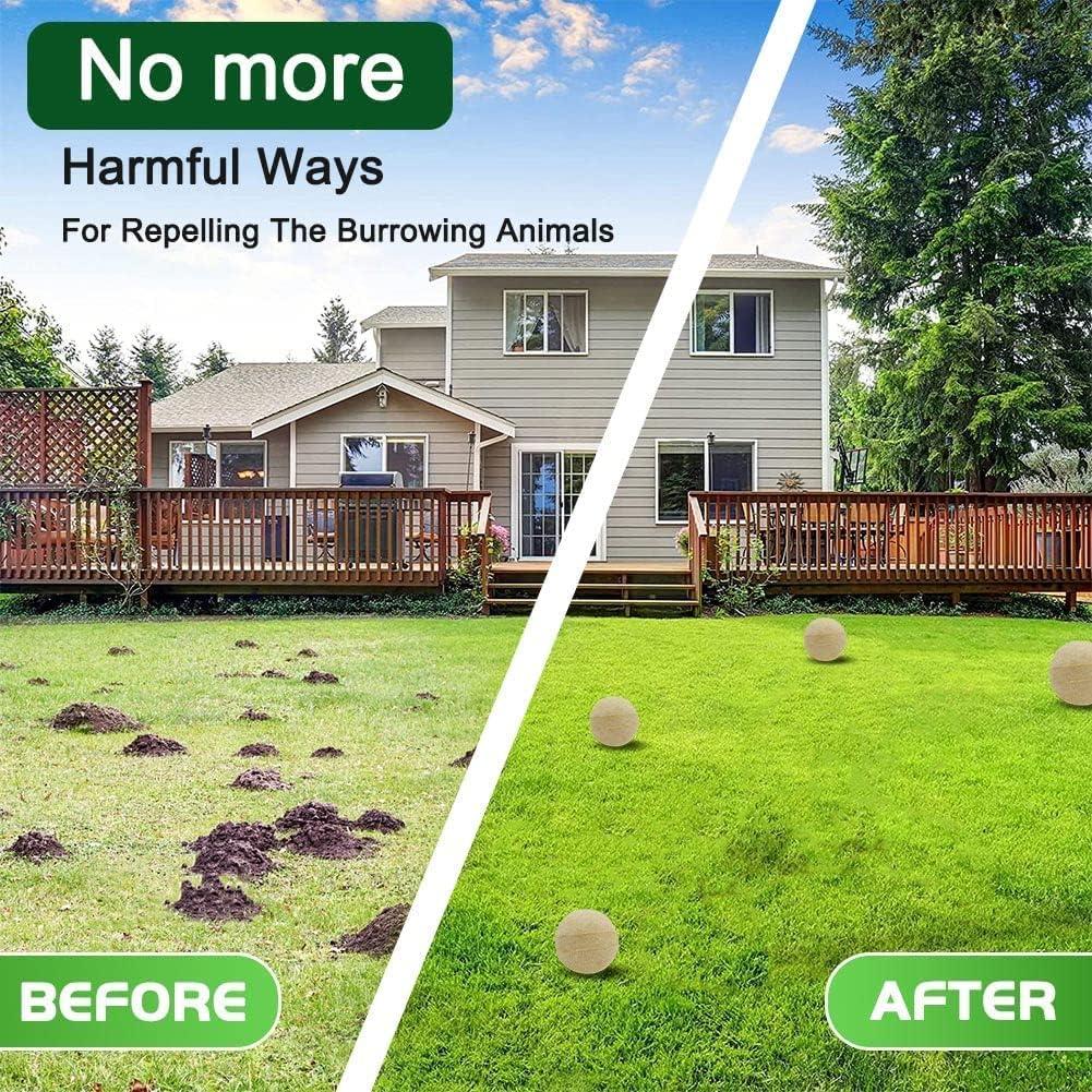 Wofimeha Mole Repellent Vole Repellent Outdoor Natural Gopher Repellent ...