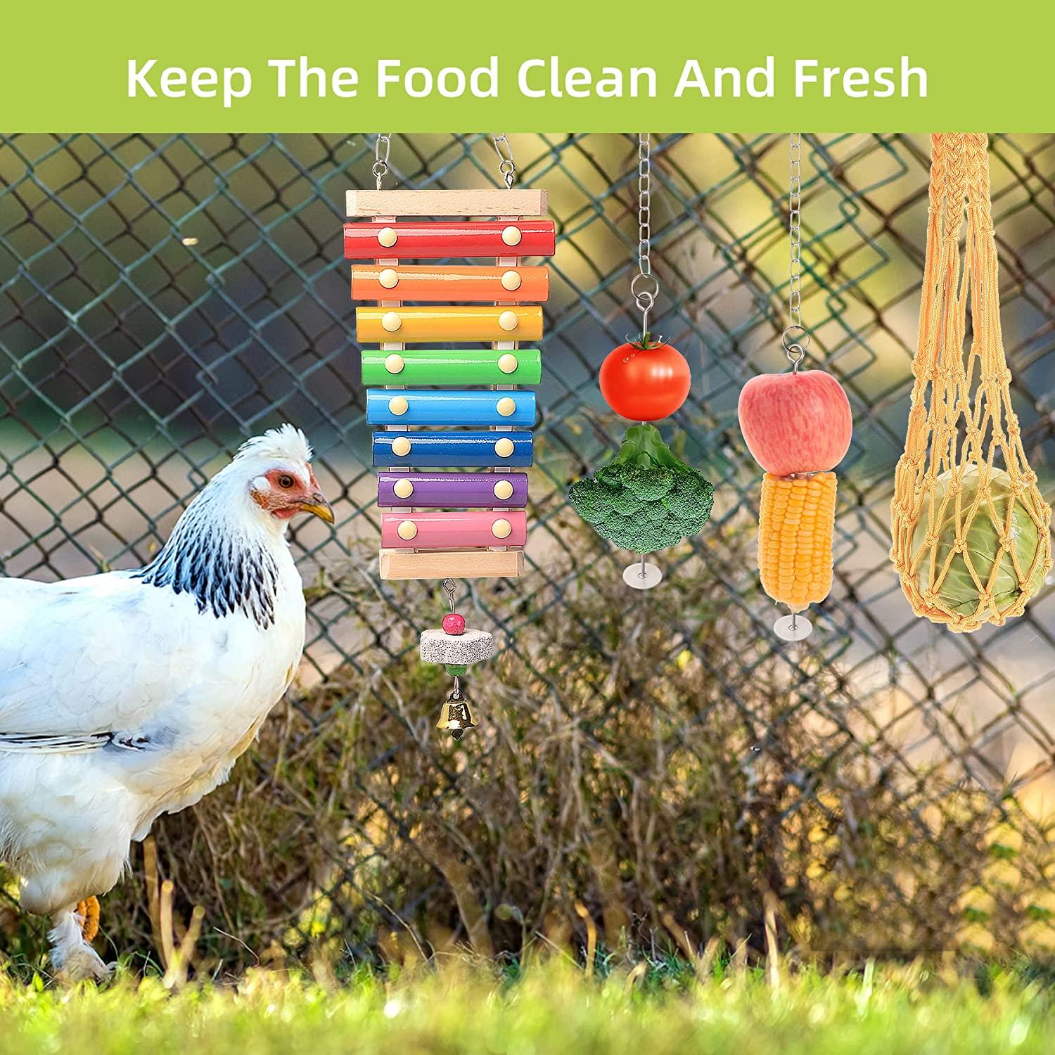 KAKUNM Chicken Toys Set: Xylophone, Swing, Mirror, Ladder, Vegetable ...