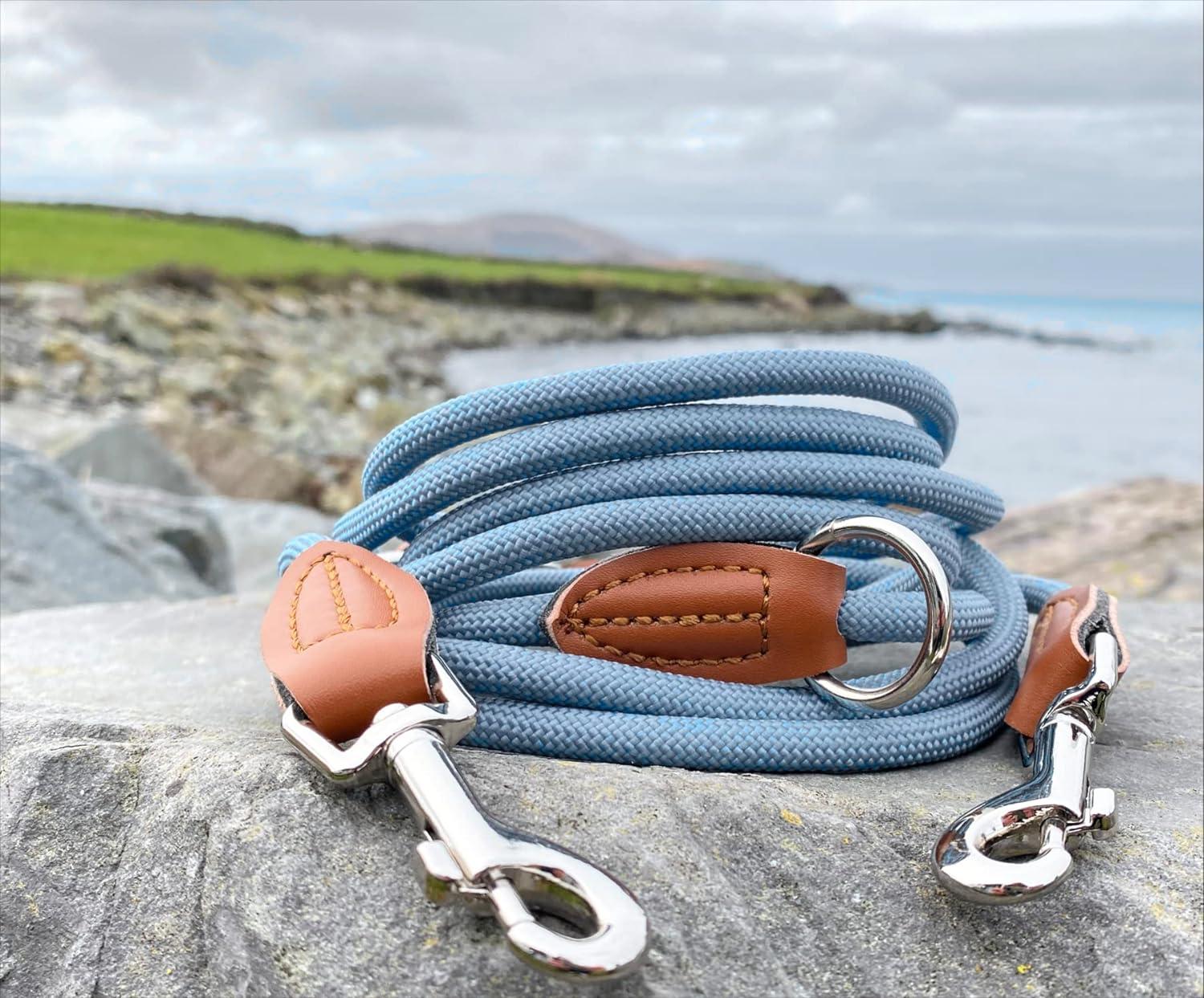 Buy Leitengr n Adjustable Dog Leash for Big Dogs | 3M Long with 2 ...