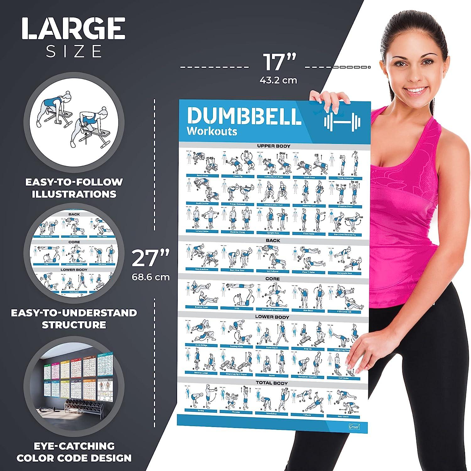 16-Pack Large Workout Poster Set - Dumbbell, Yoga, Resistance Band, Kettlebell & Stretching ...