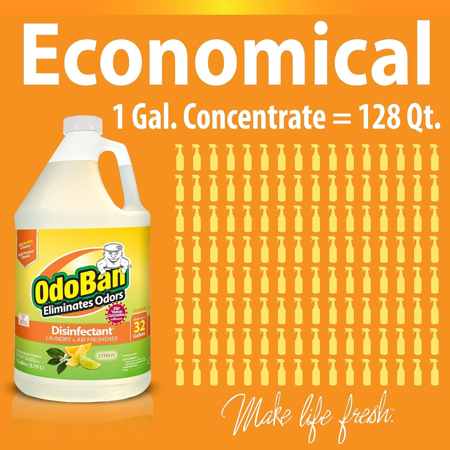 OdoBan Disinfectant Concentrate & Odor Eliminator - 1 Gallon Citrus ...