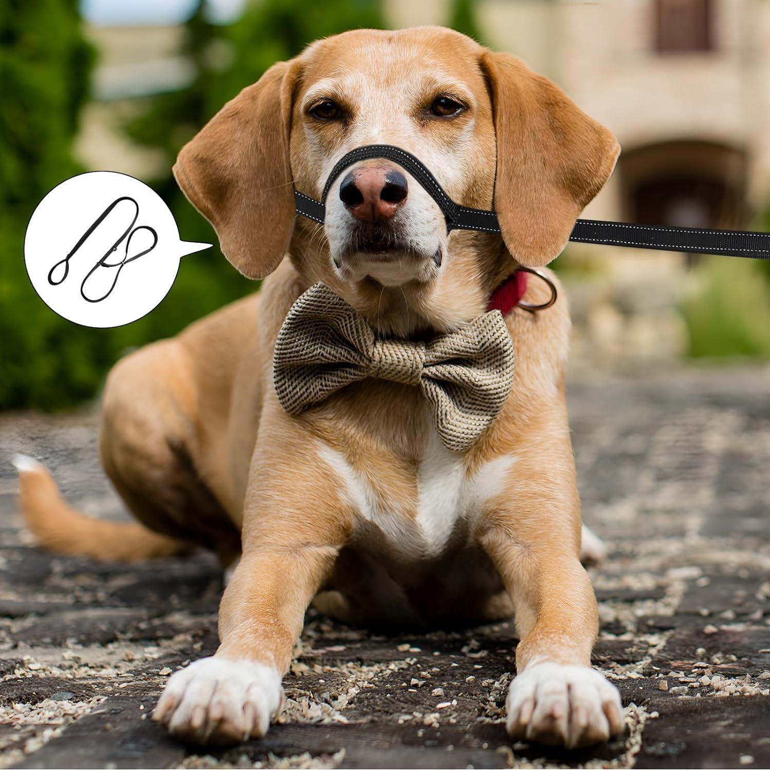Figure of 8 Dog Lead 1PCS Anti Pull dog Lead with Padded Loop Handle ...