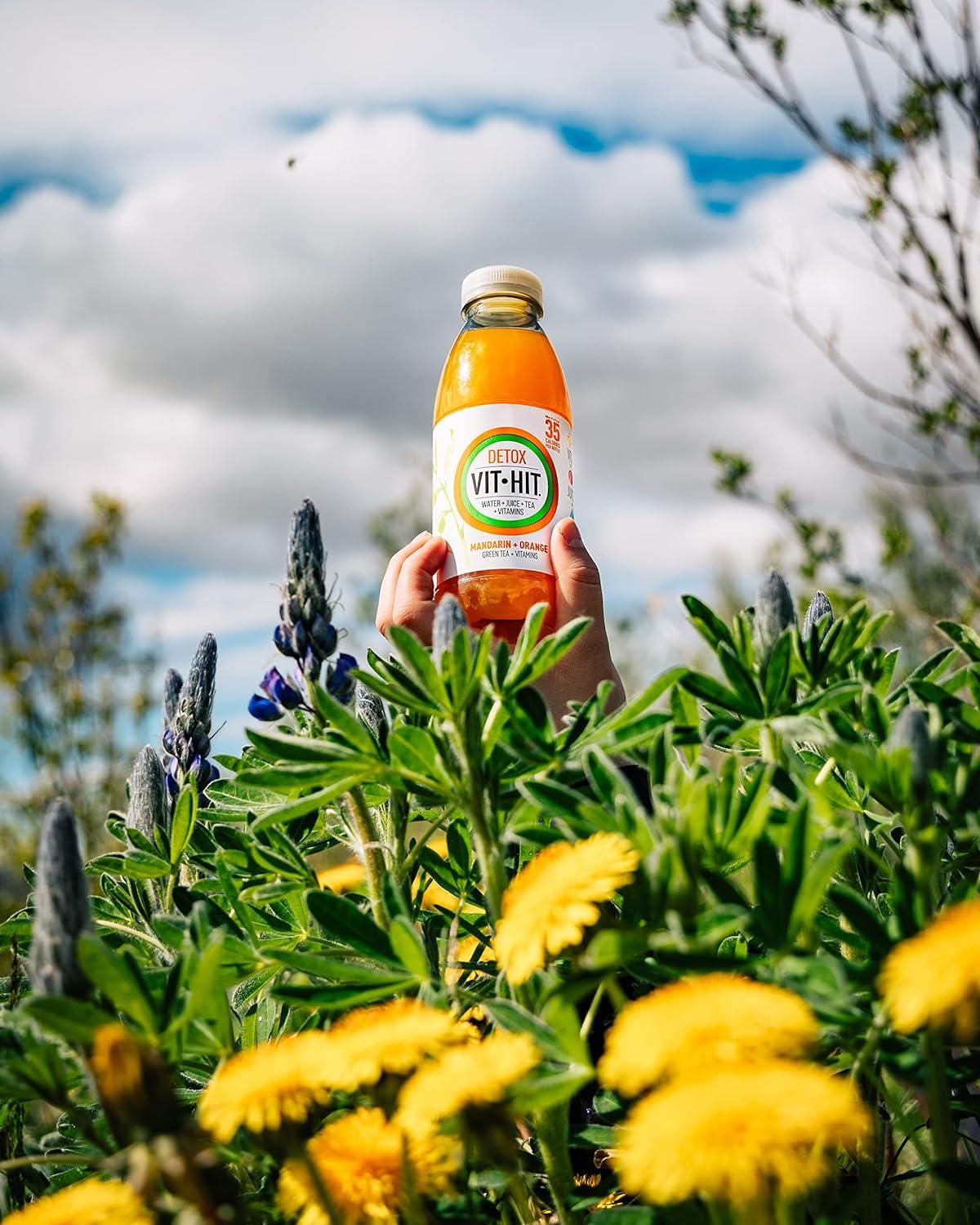 VIT HIT DETOX - Mandarin + Orange Green Tea Vitamin Drink (500ml x 12 ...