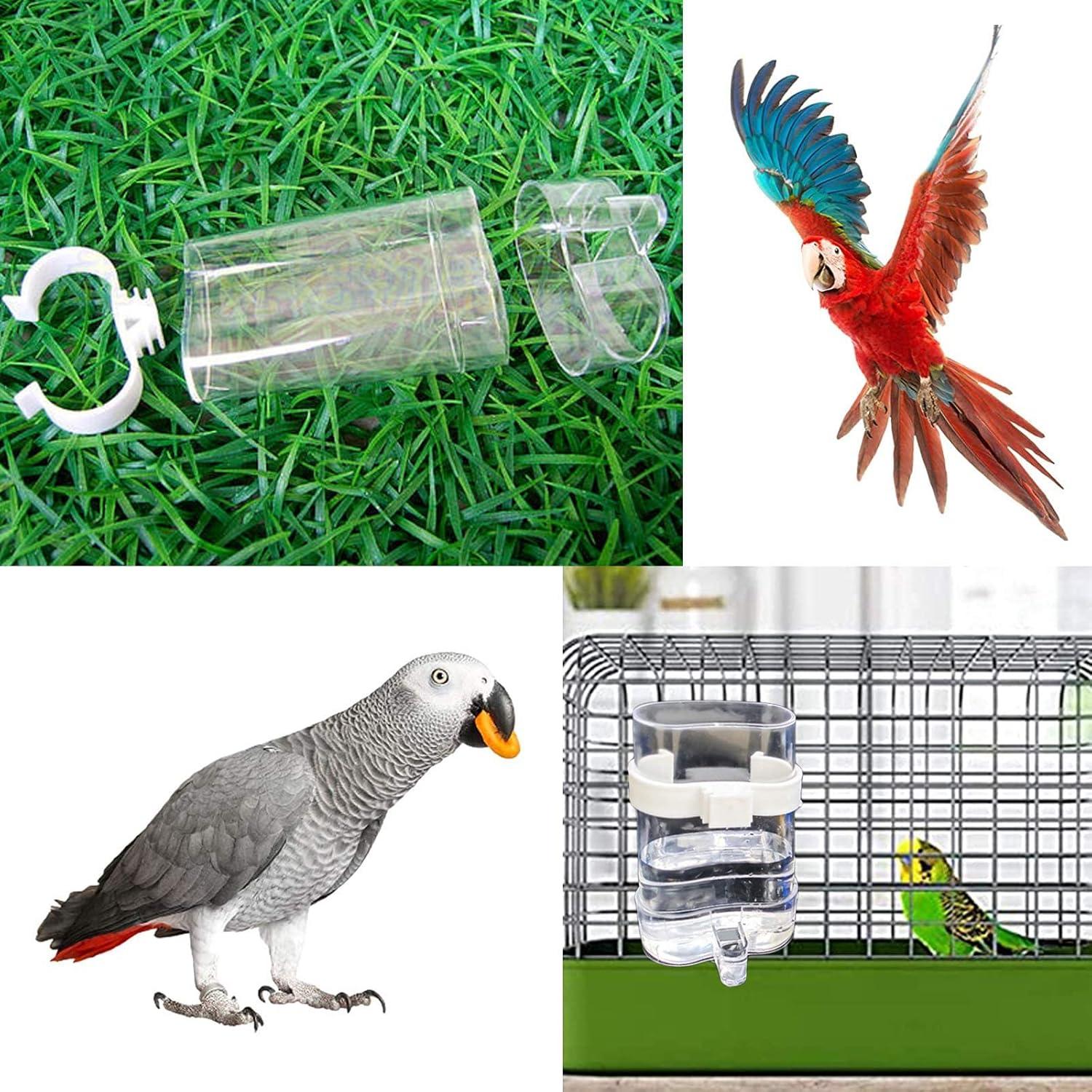 Automatic Bird Feed & Water Dispenser - 2 Piece Parrot Feeding Set ...