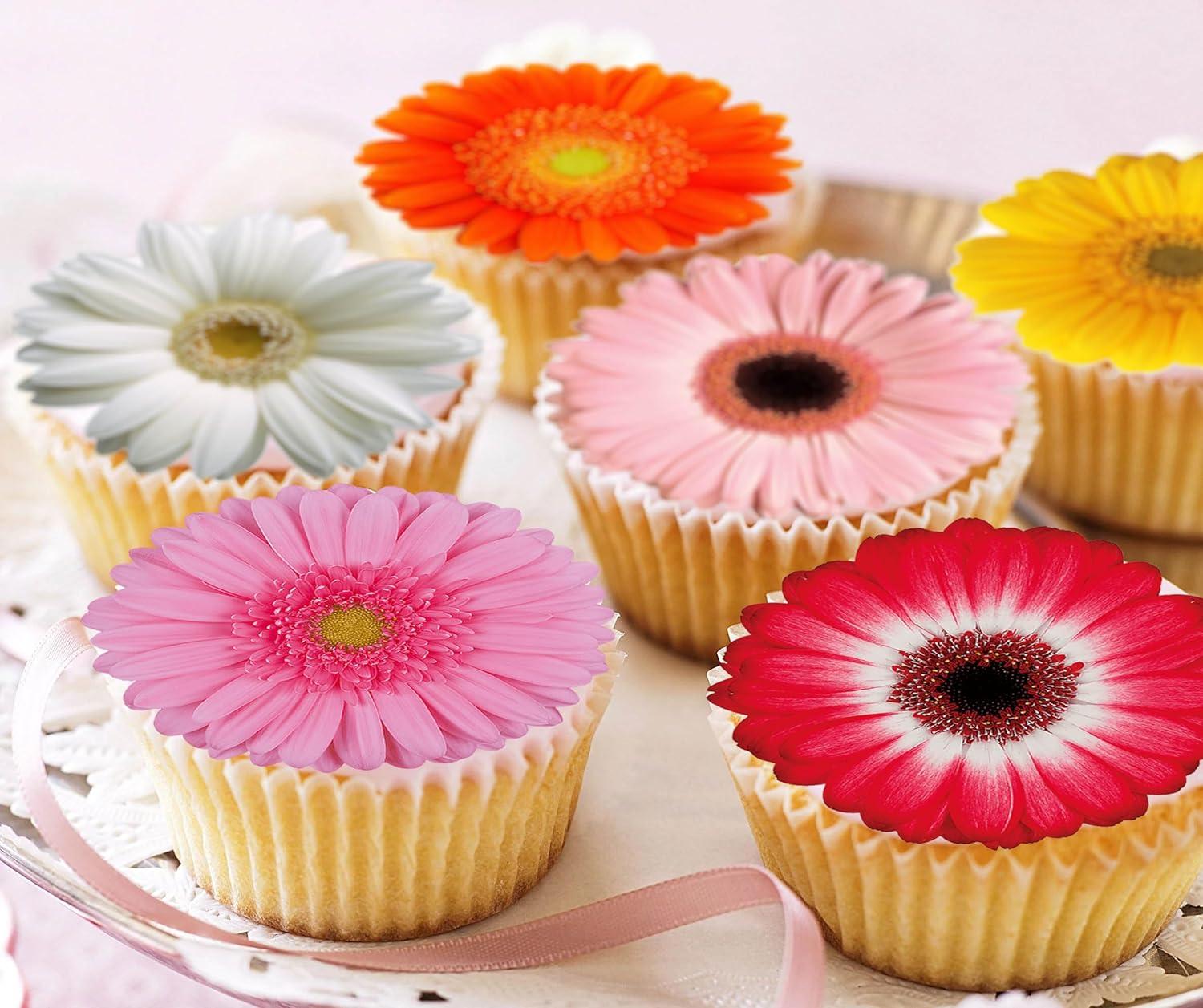 Pre-Cut Beautiful Gerbera Daisy A Edible Wafer Paper Flowers Cupcake ...