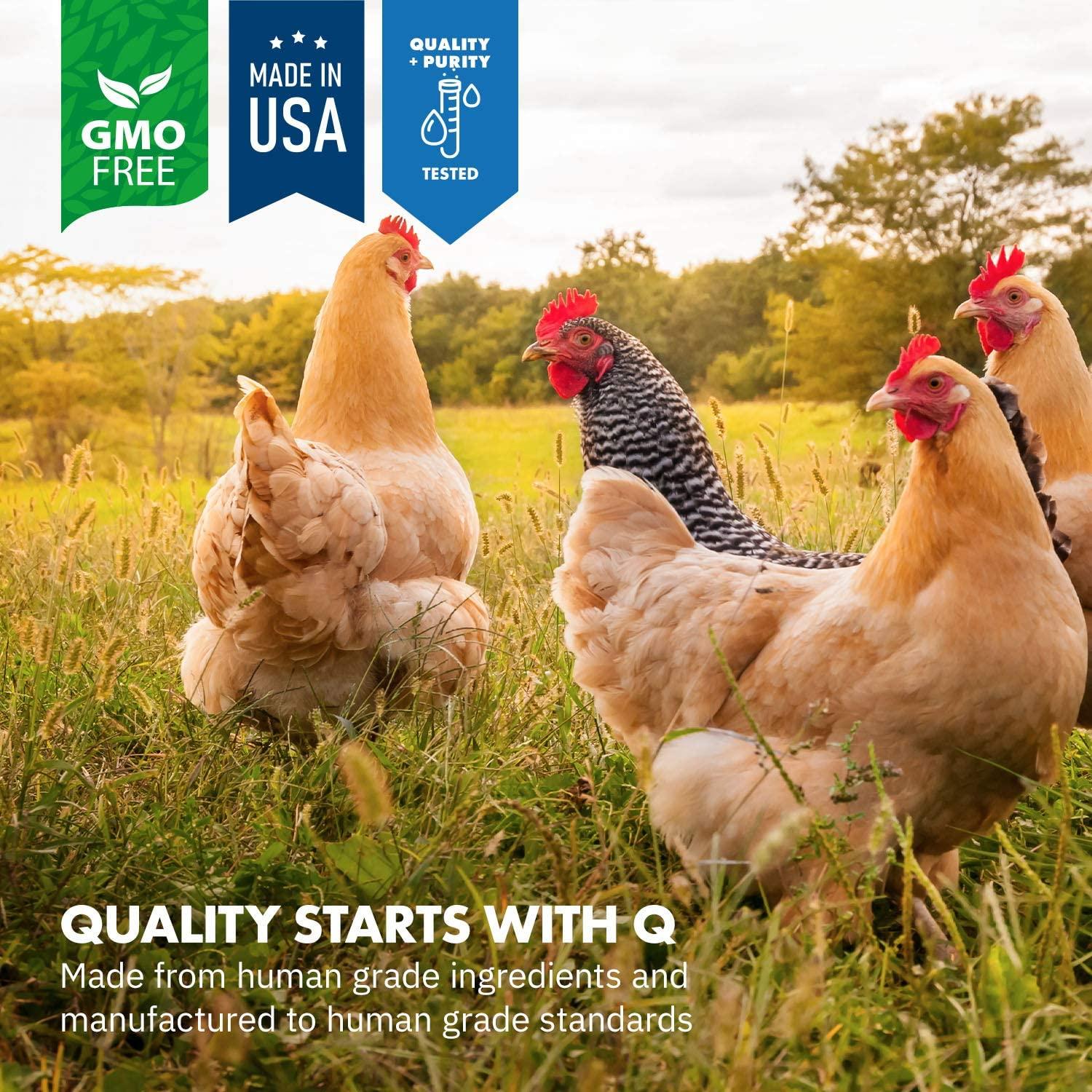 Natural Probiotics for Chickens & Poultry | Digestive Health Supplement ...