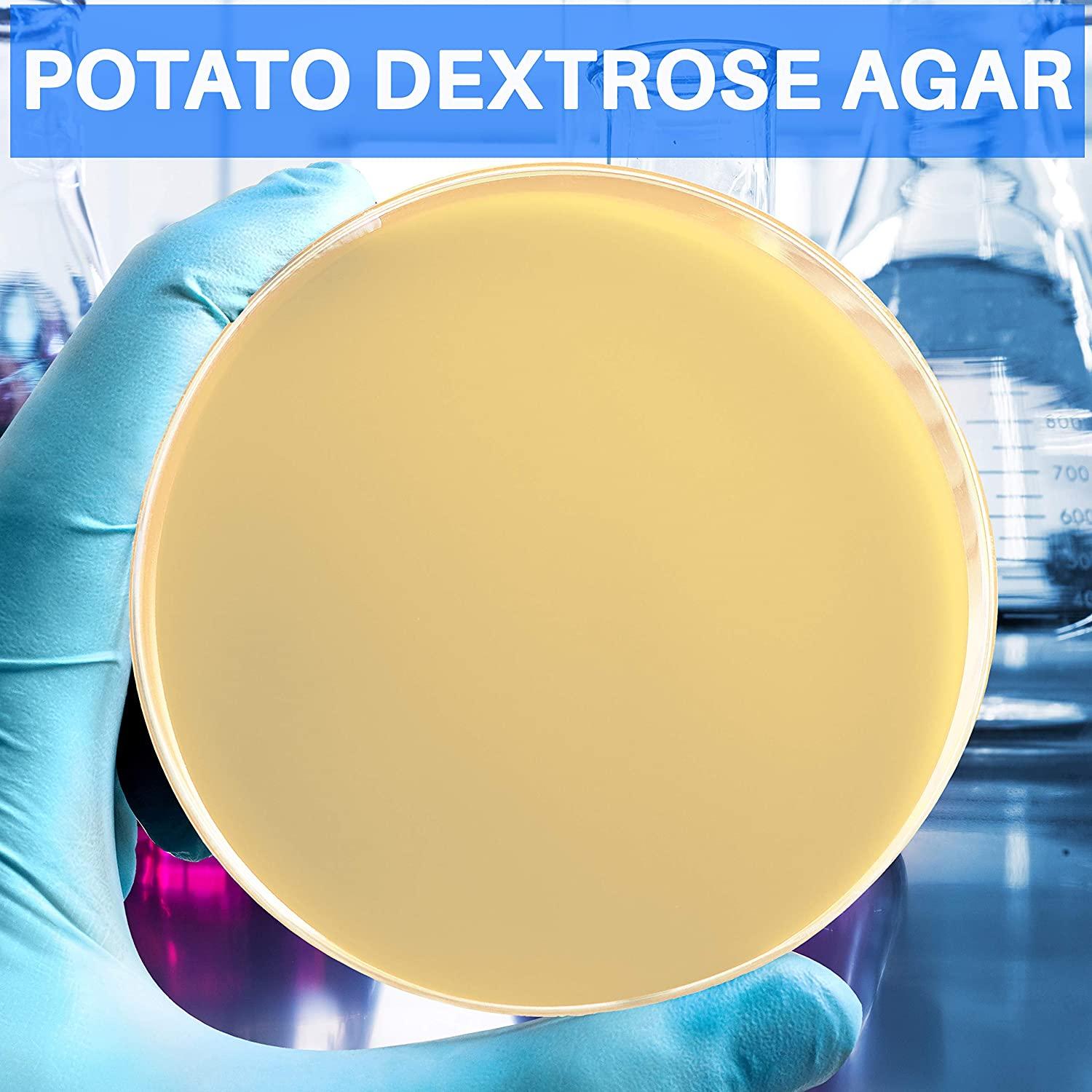 Agar Variety Kit by Evviva Sciences - Premium Performance for Mushrooms ...