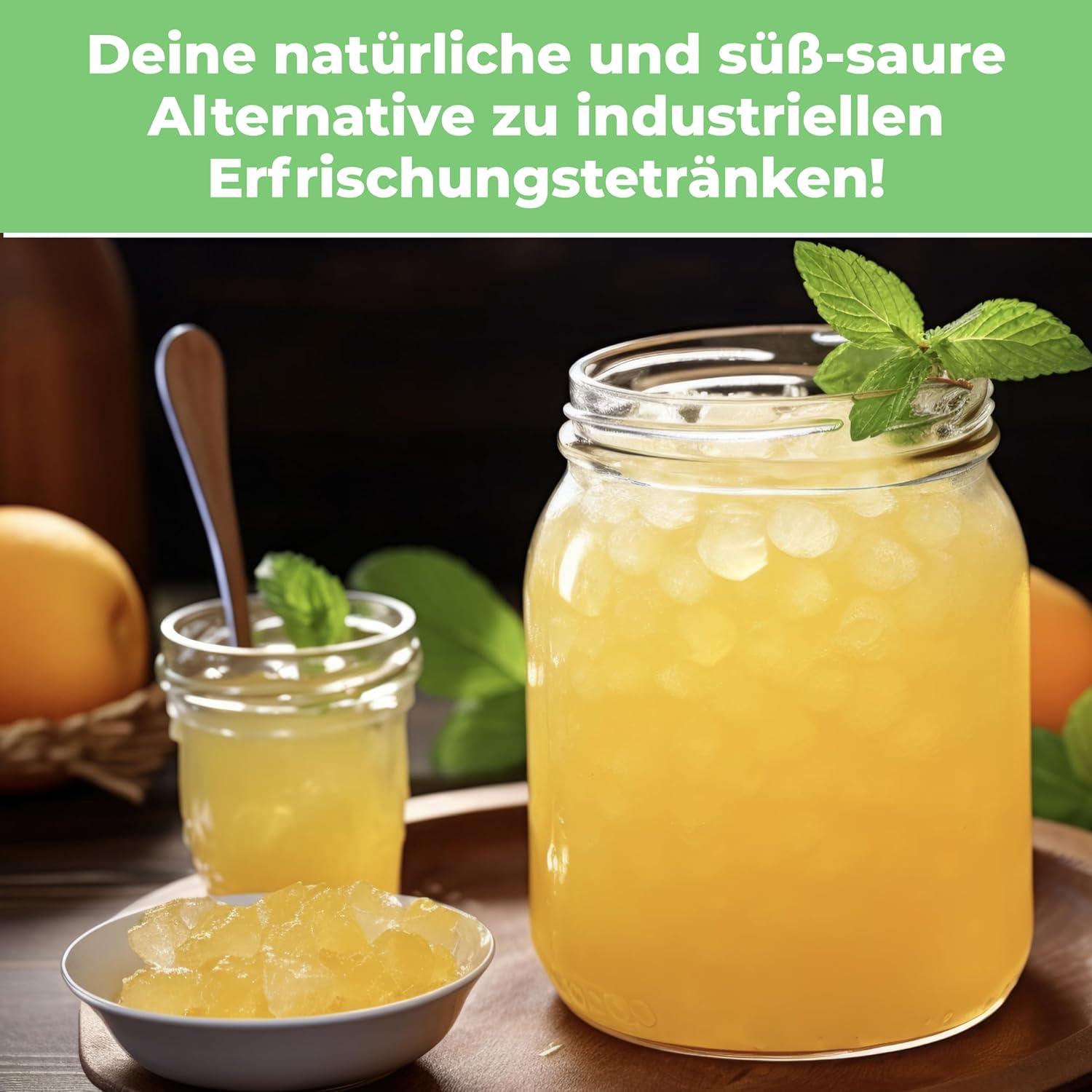 Curly Superfood Original Water Kefir Crystals 30g + Sieve - Organic ...