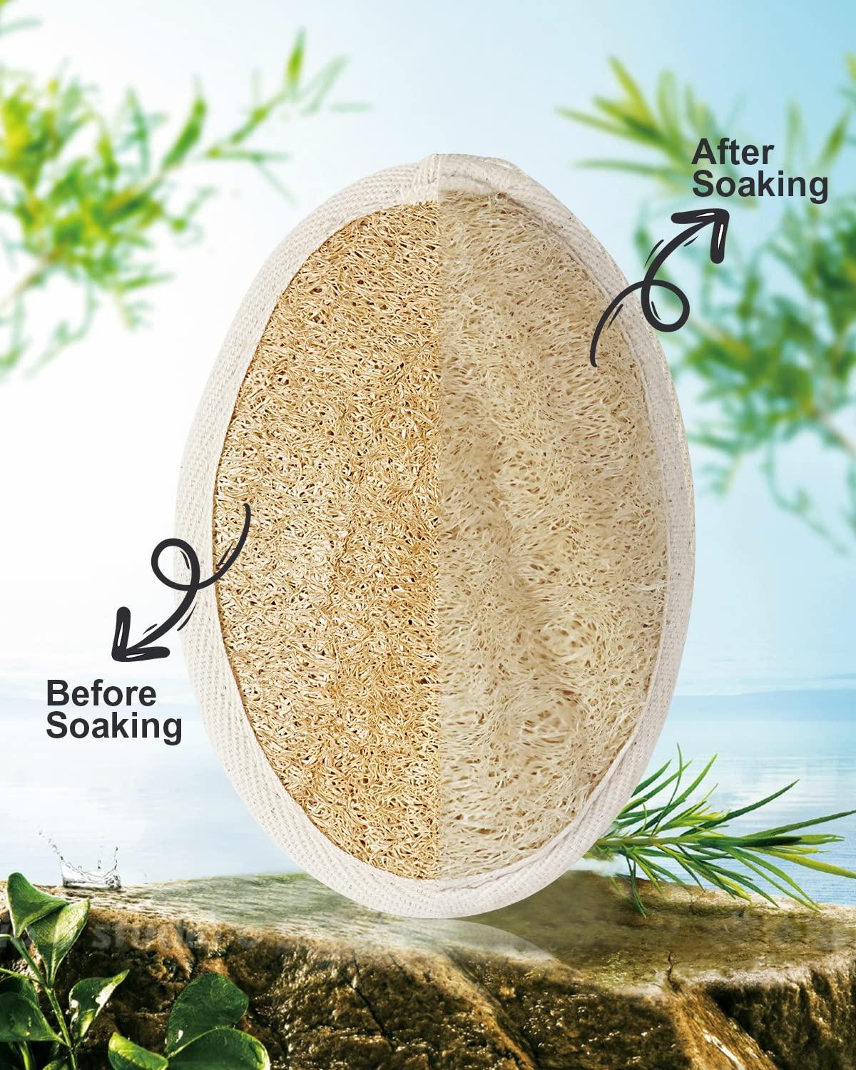 Natural Loofah Sponge Exfoliating Body Scrubber- 2 Pack Shower Loofah ...