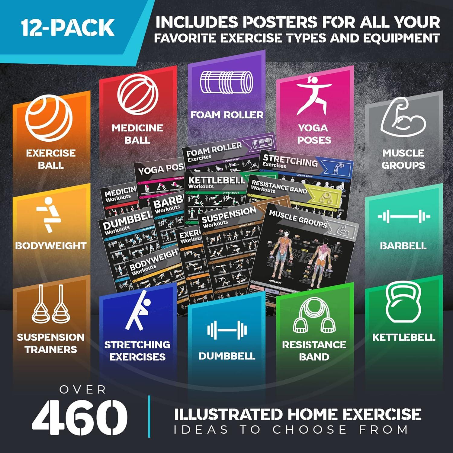 12-Pack Large Workout Poster Set - Home Gym Exercise Charts for ...