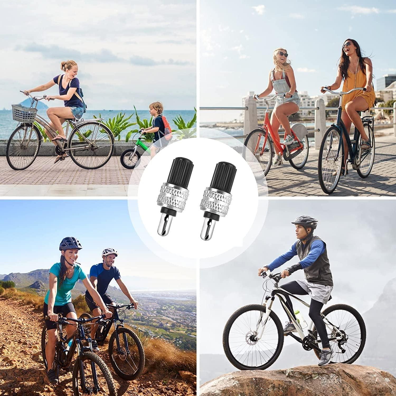 Shop Tona Bicycle Valve Flash Replacement Set - 24 Parts Dunlop Inserts ...