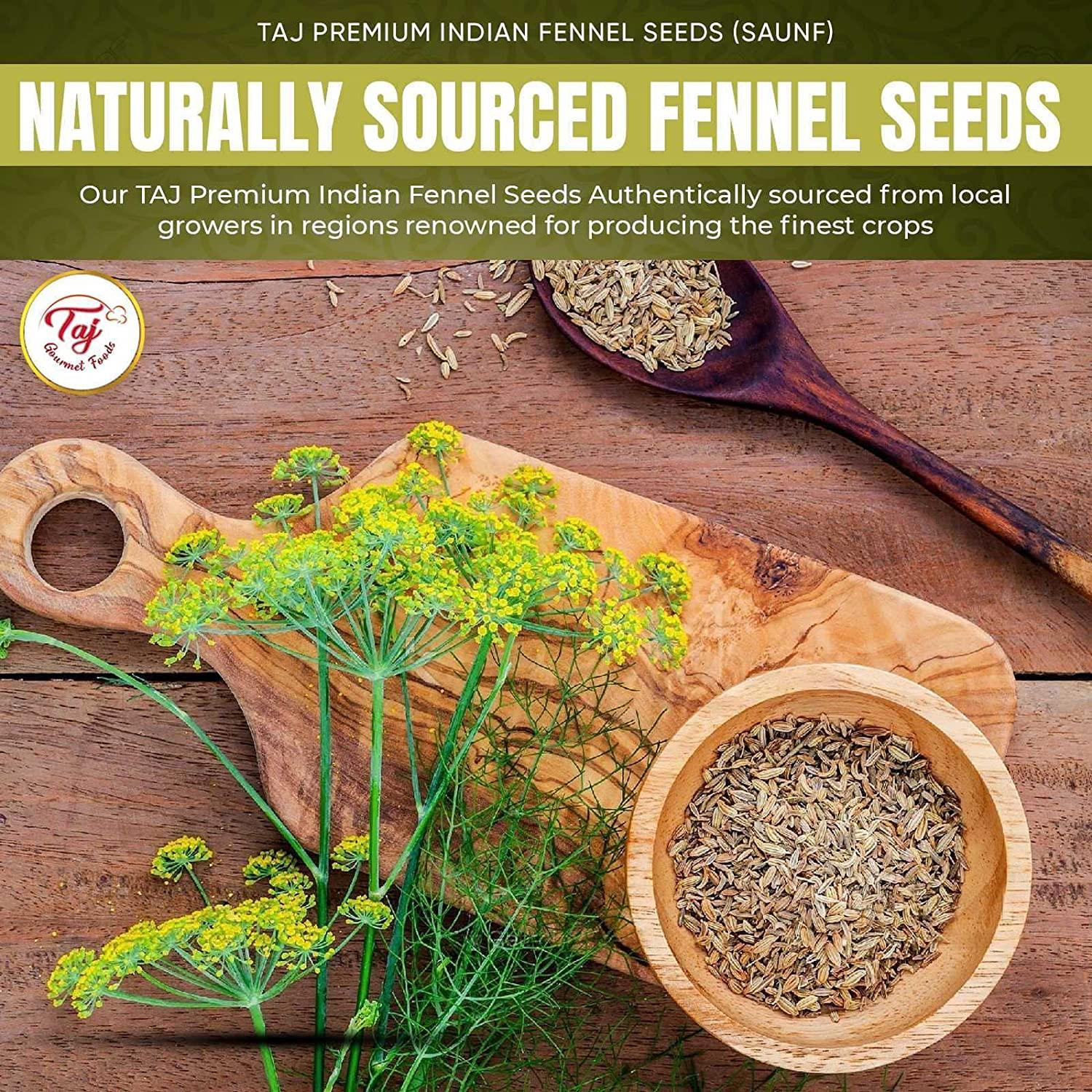 Taj Premium Indian Fennel Powder - 5 Pounds Jar | Saunf Ground Spice ...