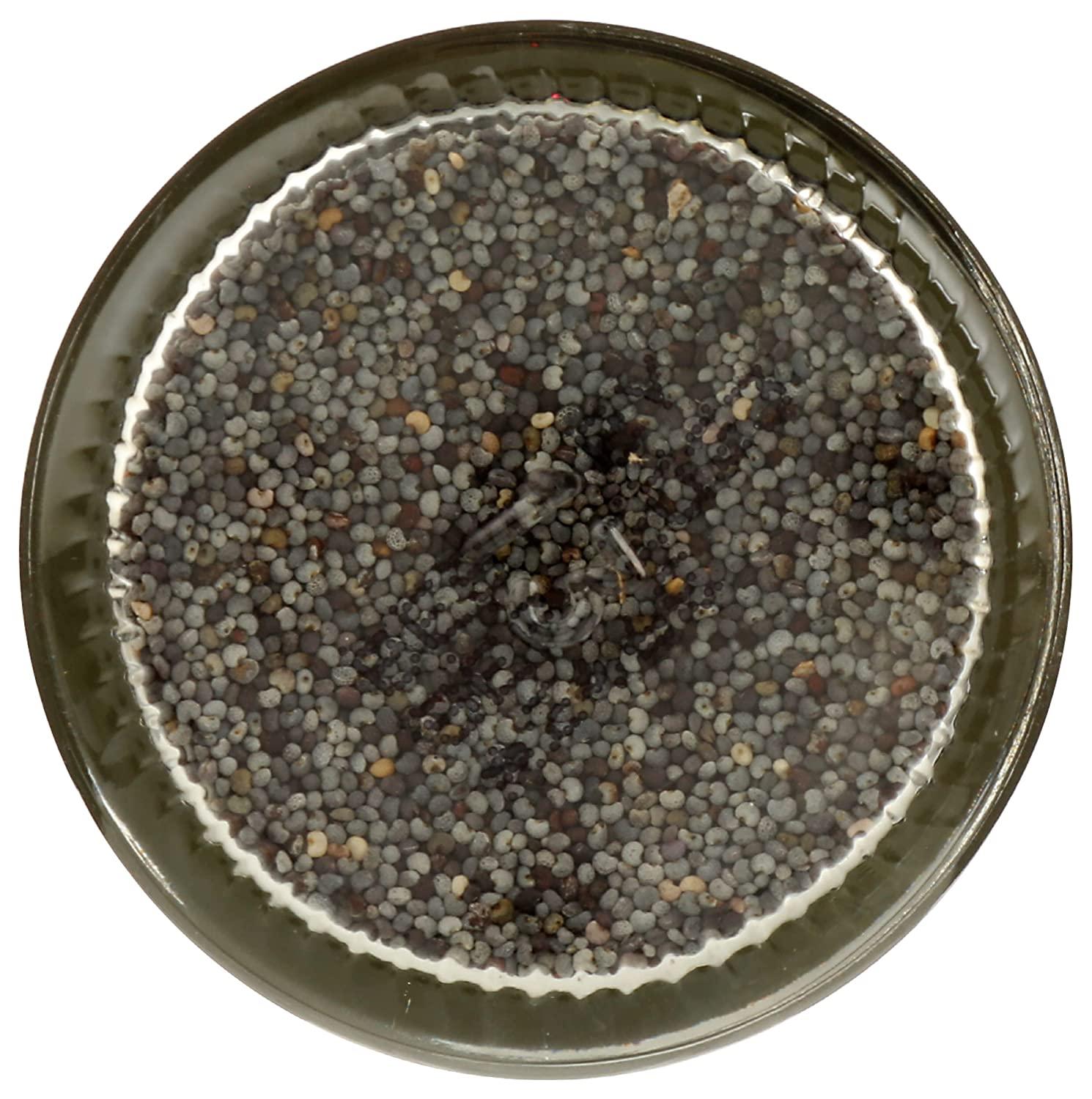 365 by Whole Foods Market Poppy Seed 2.01 Ounce | Buy Now with Express ...