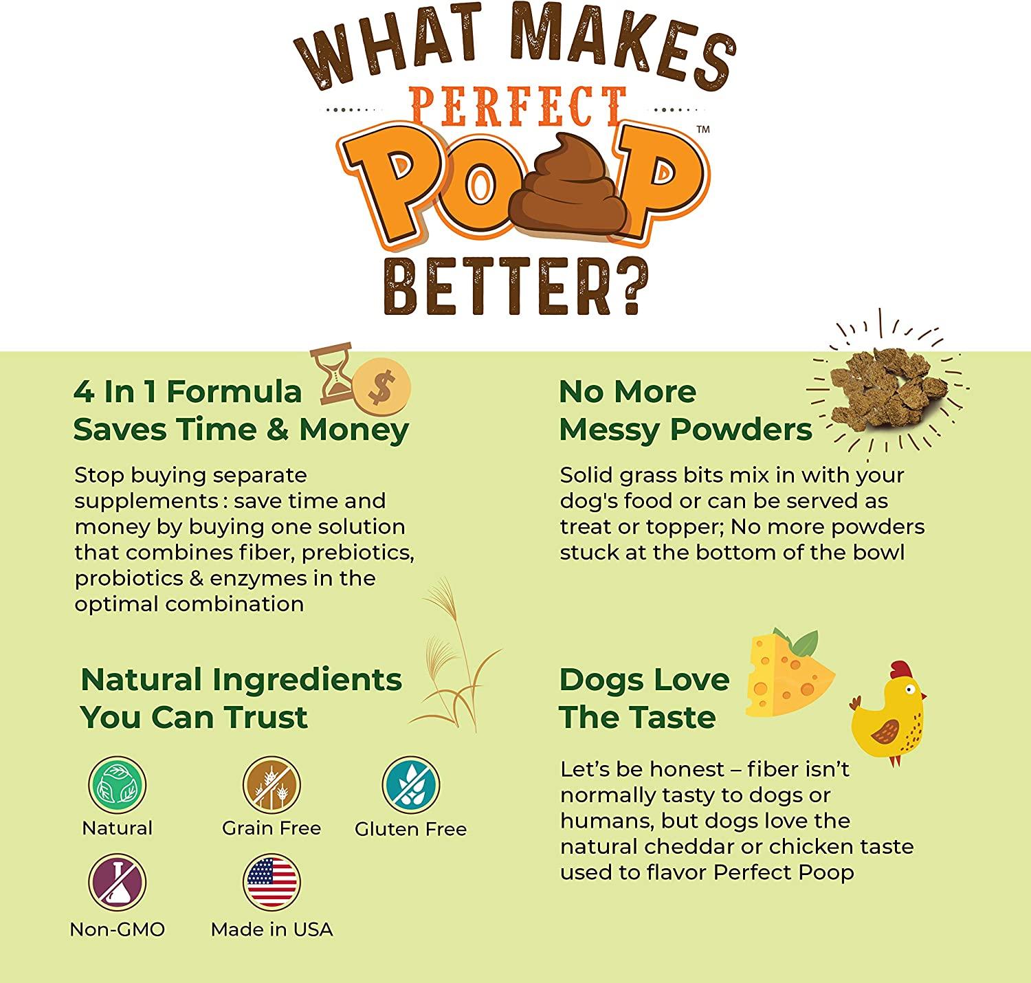 Perfect Poop Digestion Supplement for Dogs - Fiber, Prebiotics ...