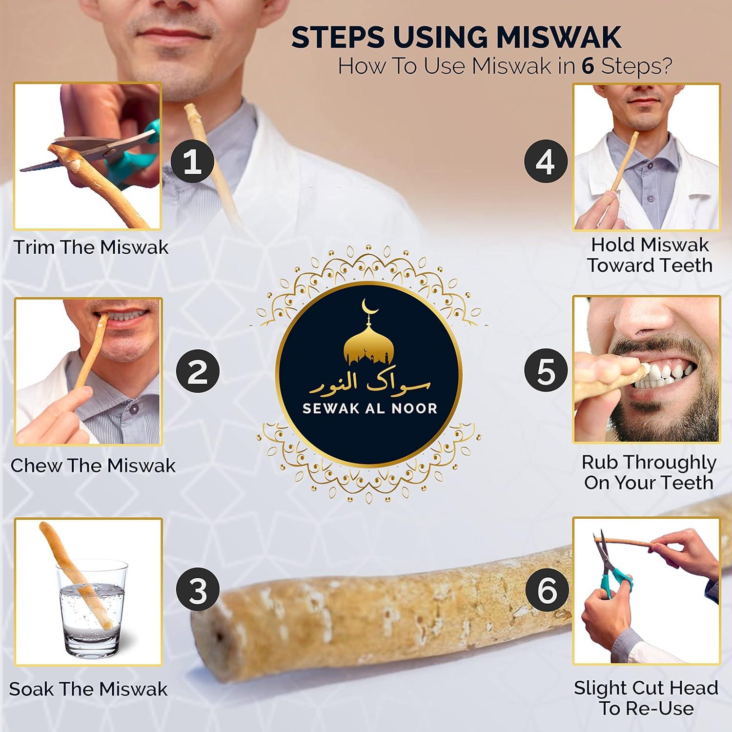 Sewak Al Noor 10-Pack Miswak Sticks with Holder - Natural Flavored Chew ...