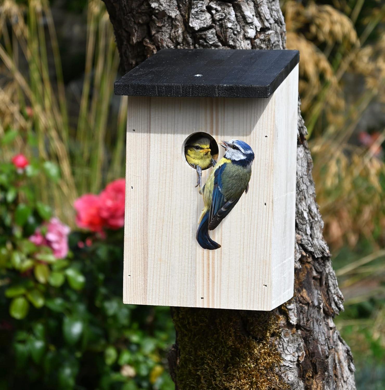 British Garden Nesting Bird Boxes - Set of 4 | Wooden Houses for Blue ...