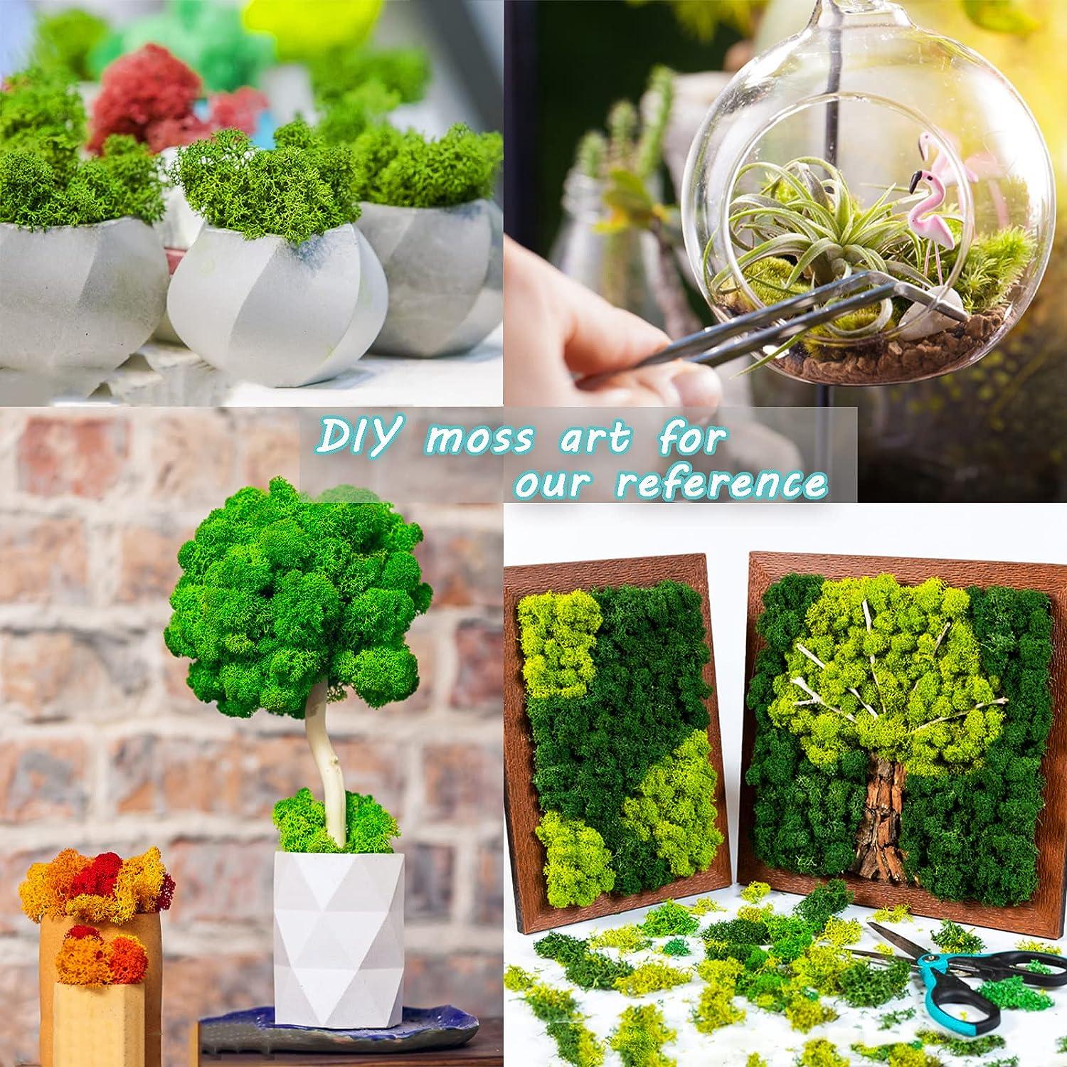 how to color moss