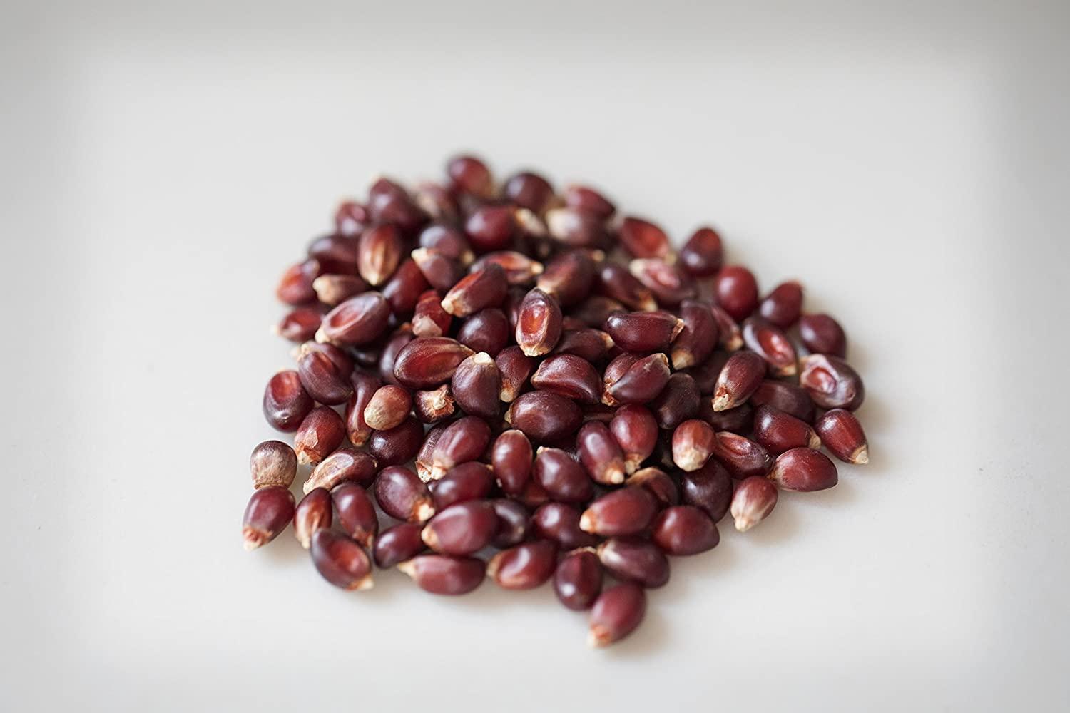 Amish Country Red Popcorn Kernels - 2 lbs | Non-GMO & Gluten Free | Buy ...