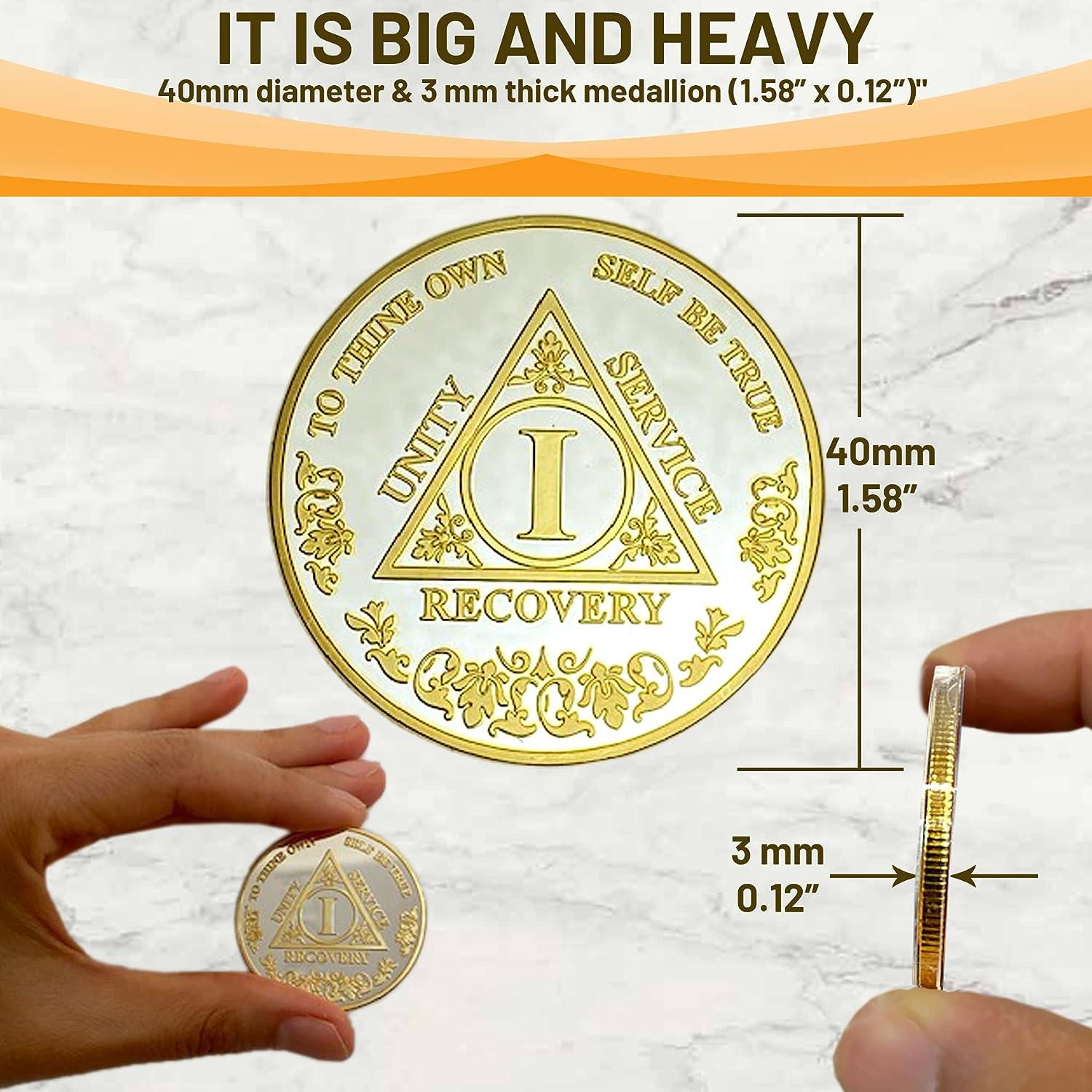 1 Year Sobriety Coin | AA Medallion for Alcoholics Anonymous Recovery ...